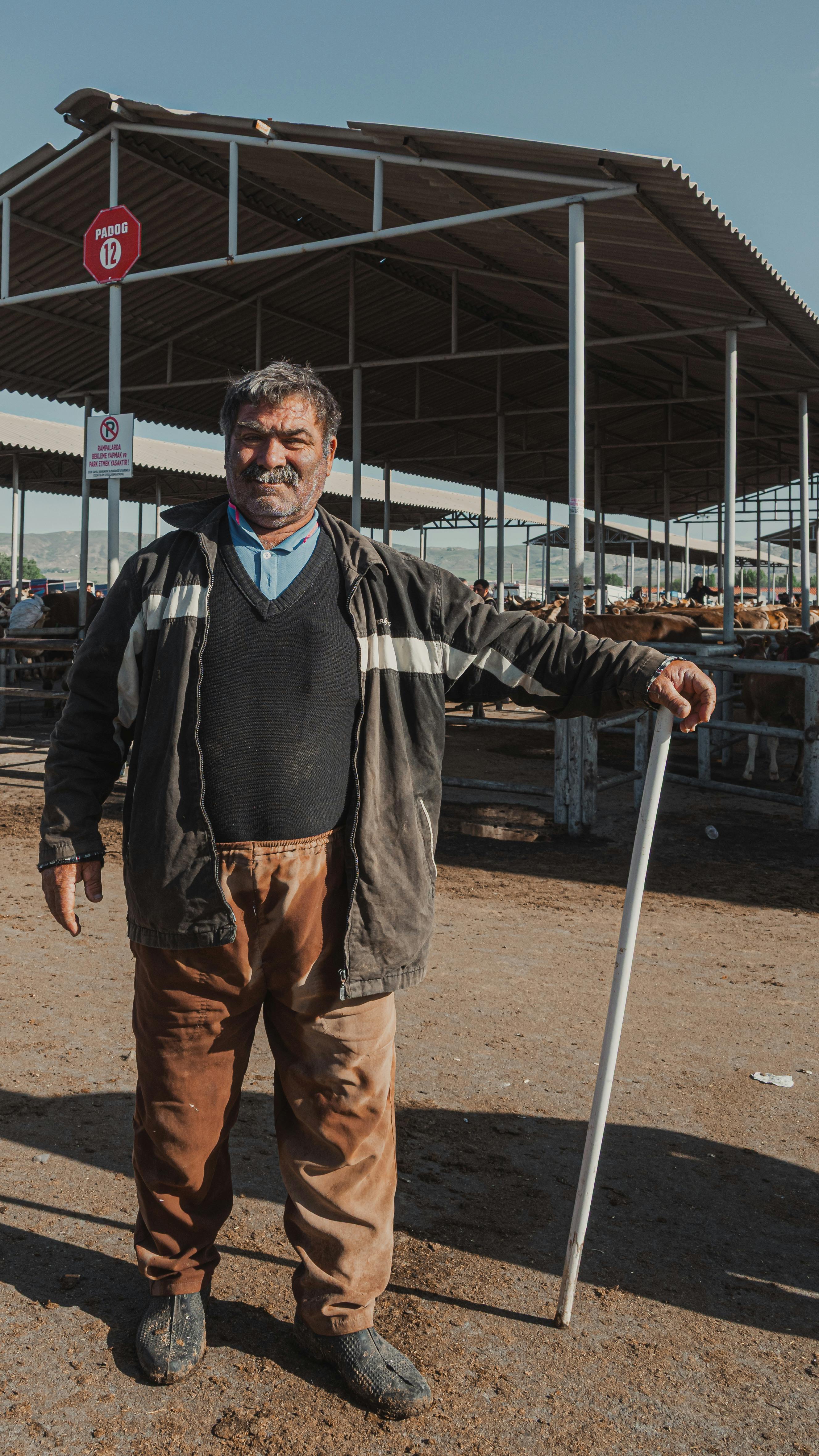 Daydrian Harding Photos, Download The BEST Free Daydrian Harding Stock ...