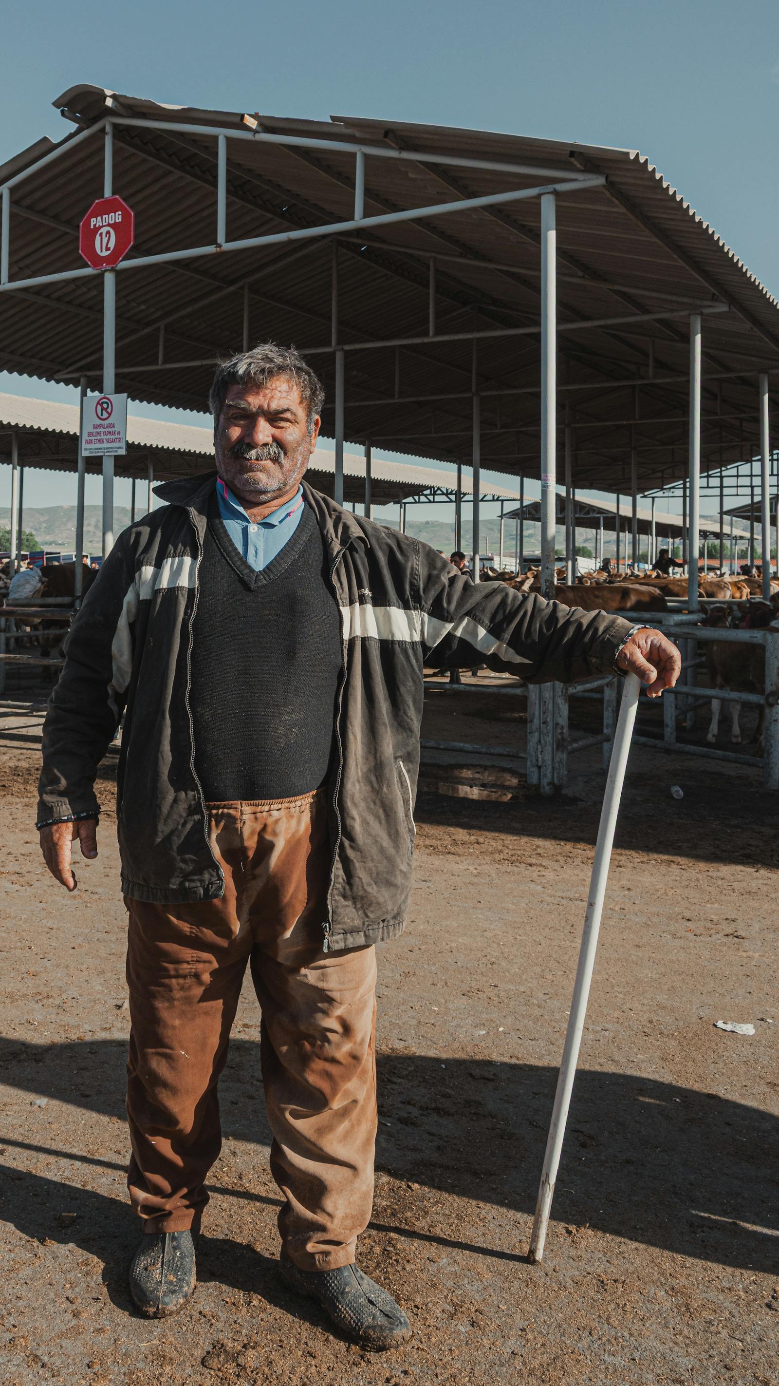 Daydrian Harding Photos, Download The BEST Free Daydrian Harding Stock ...