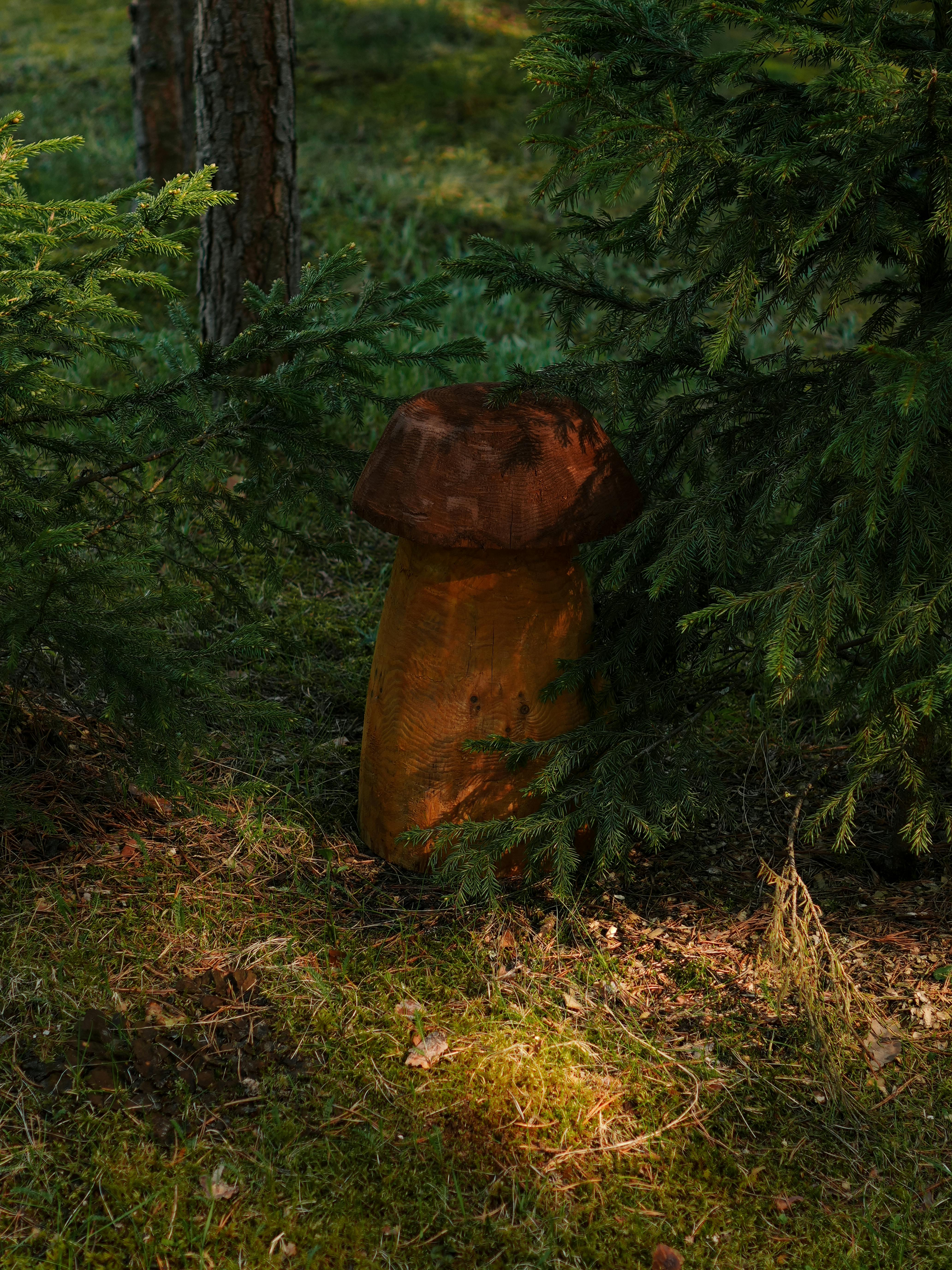 Rustic Mushroom Sculpture in a Forest Setting · Free Stock Photo