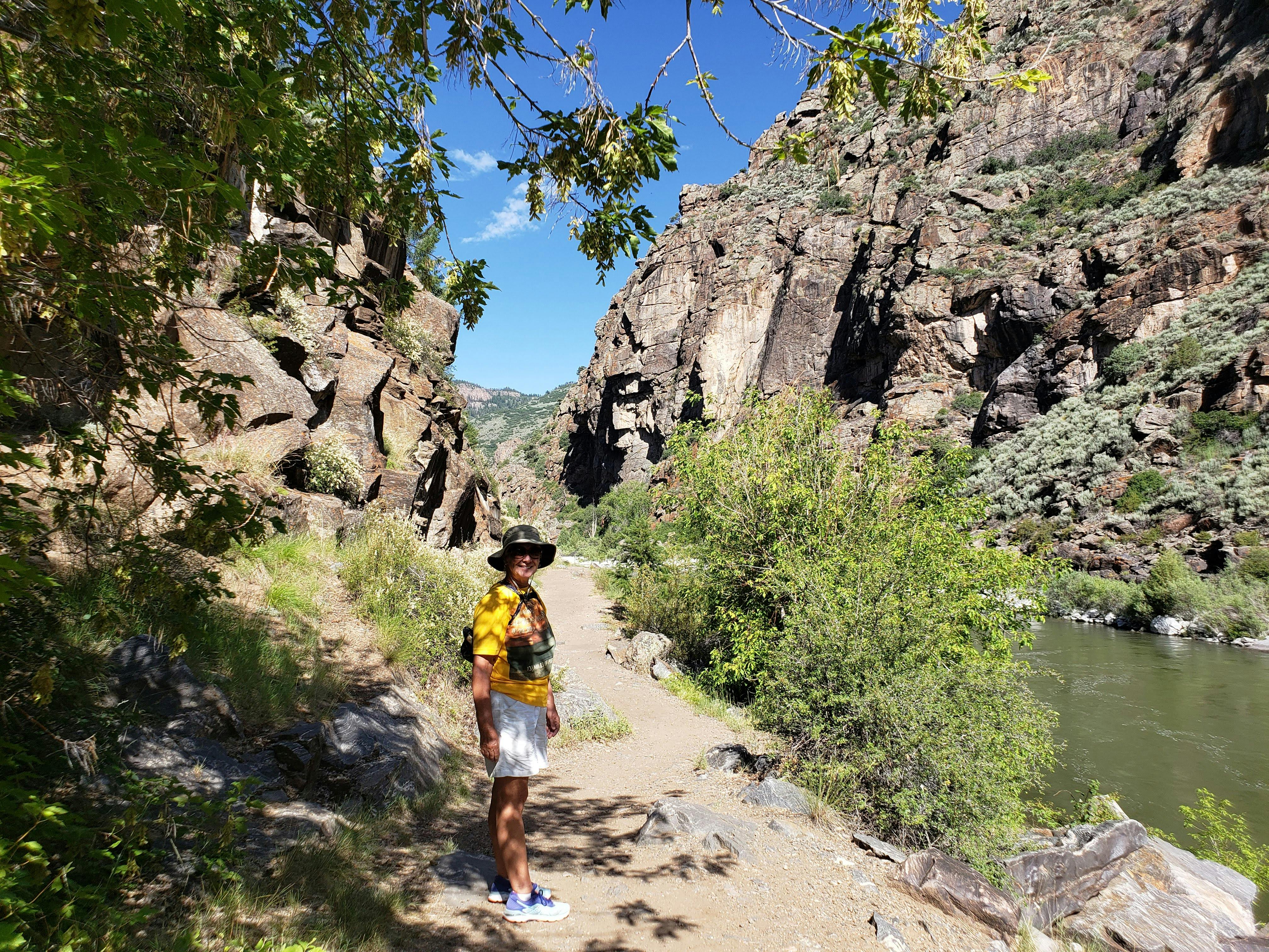 Locoweed Colorado Photos, Download The BEST Free Locoweed Colorado ...