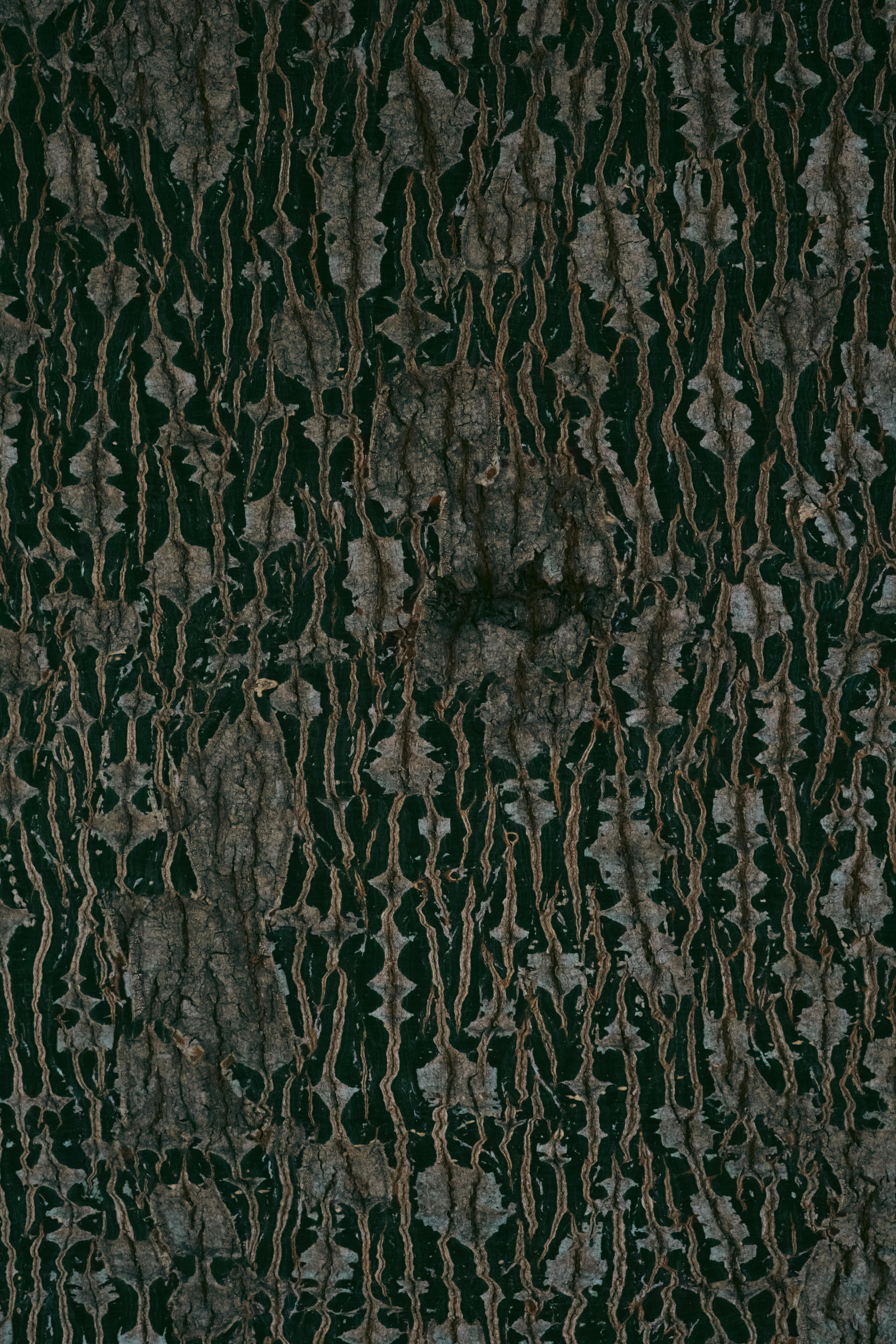 Italian+Brainrot+Wallpapers Photos, Download The BEST Free Italian ...