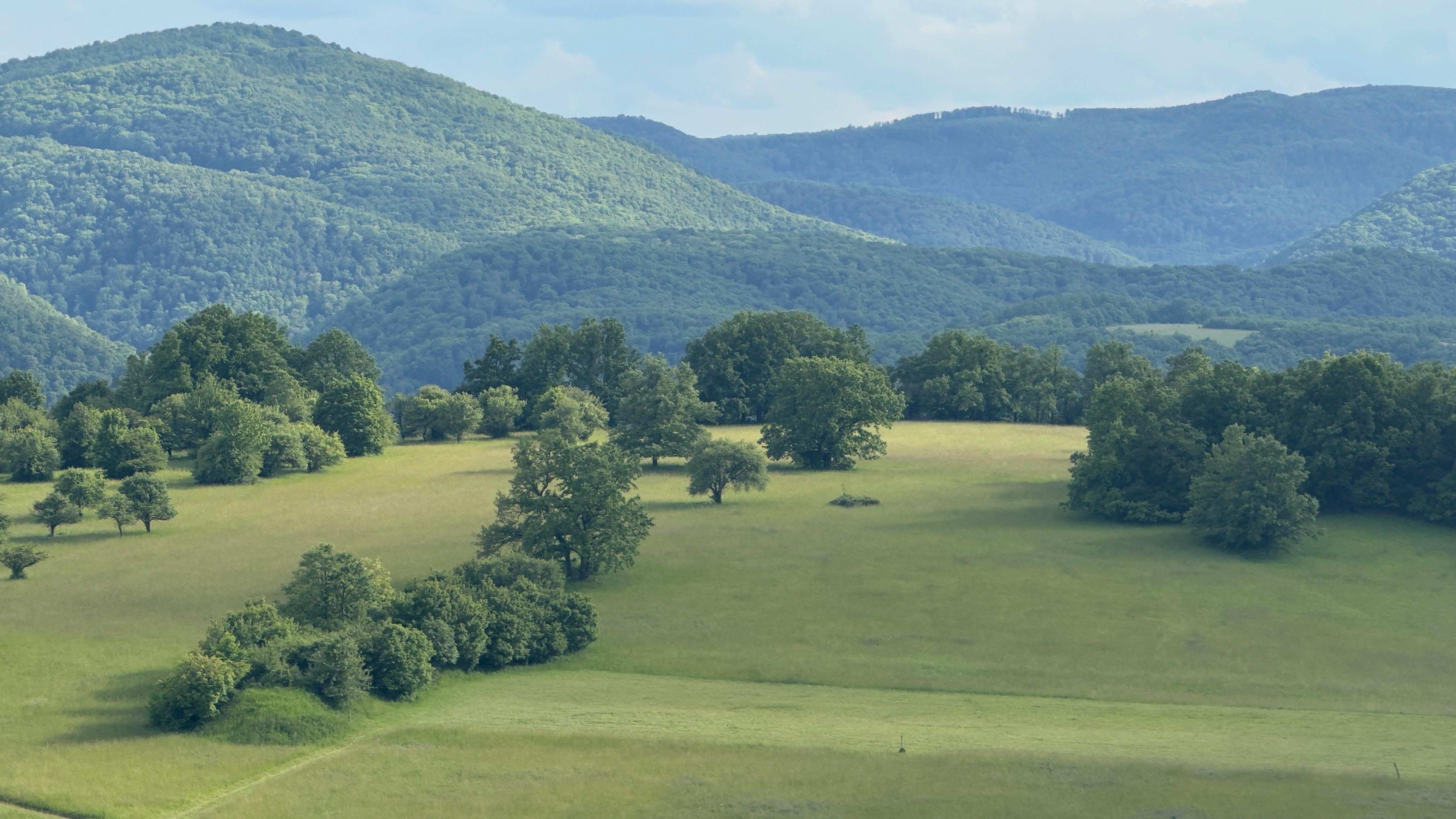 Panoramic Photograph of Haystacks on Field · Free Stock Photo