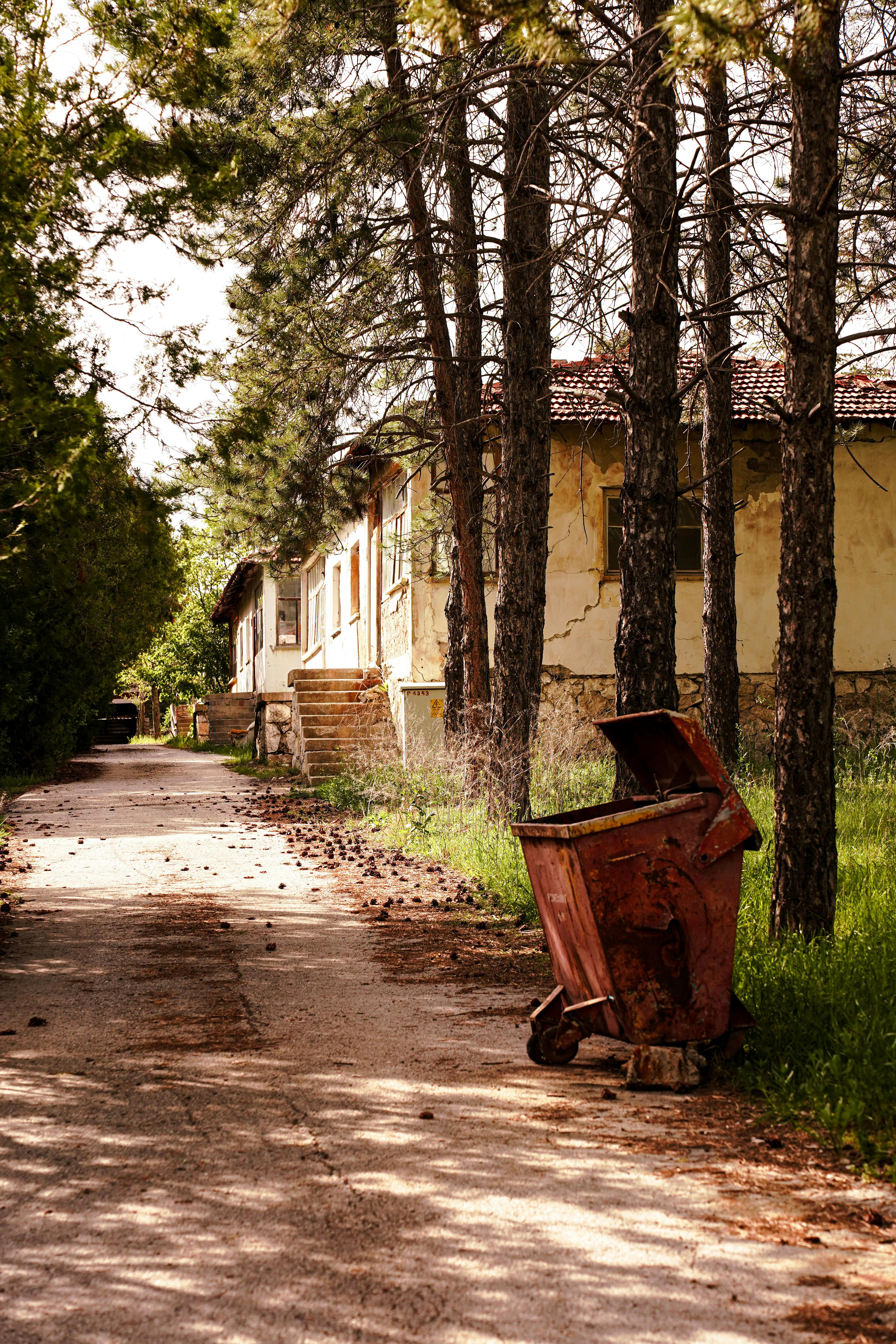 Broken Timber Photos, Download The BEST Free Broken Timber Stock Photos ...