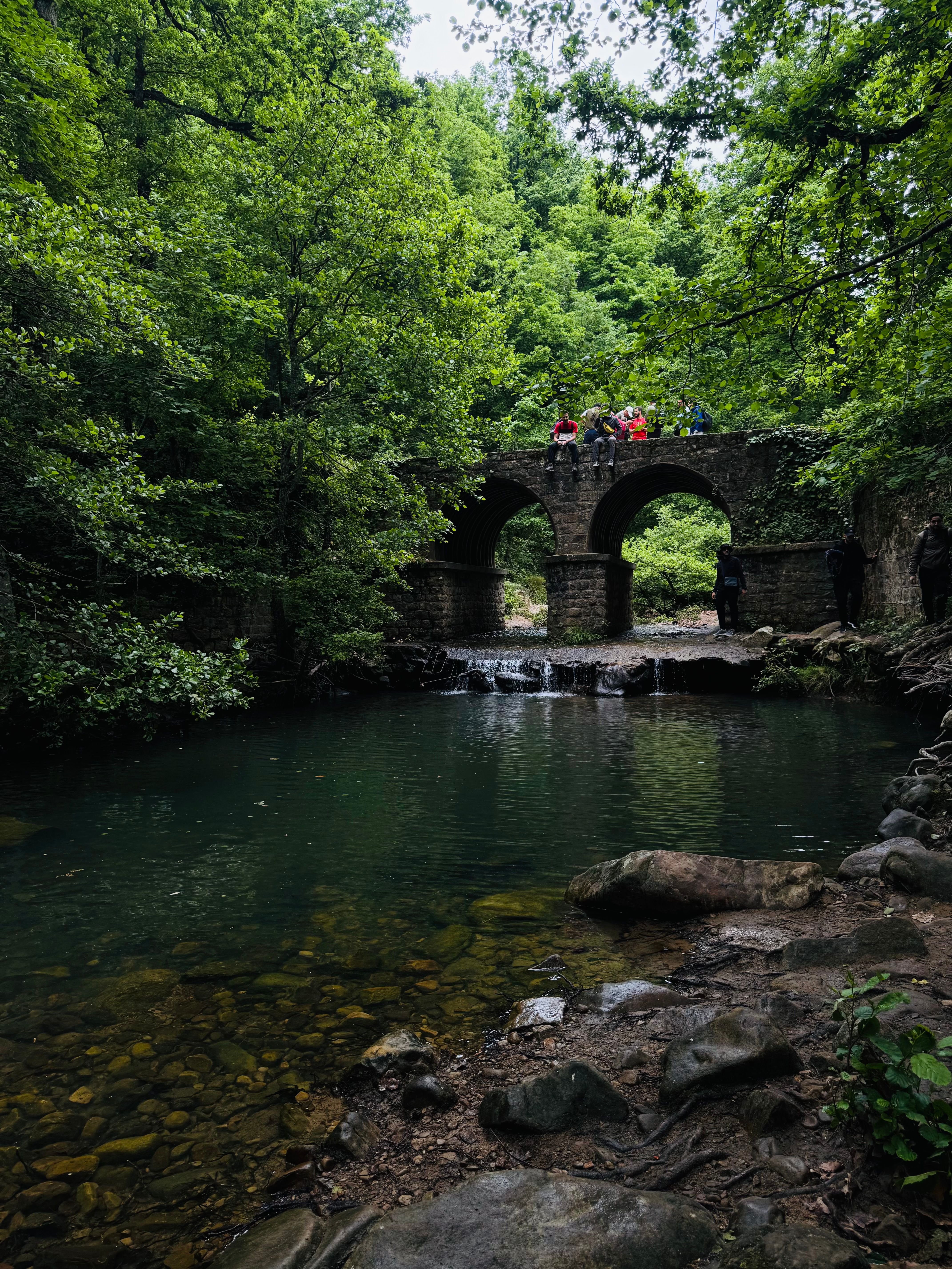 Scenic Stone Bridge Over Forest Stream · Free Stock Photo