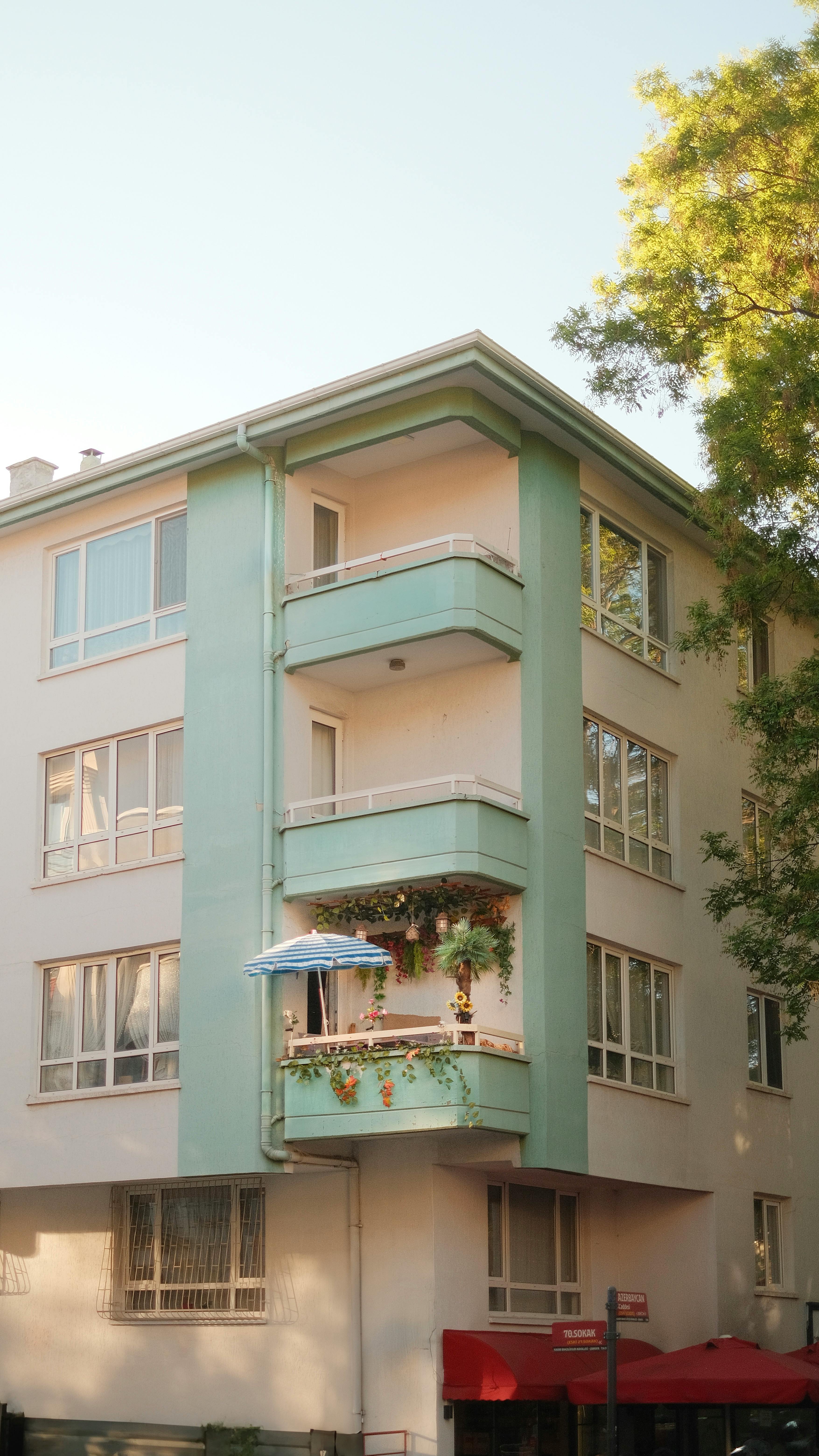 Ankara Kedileri Photos, Download The BEST Free Ankara Kedileri Stock ...