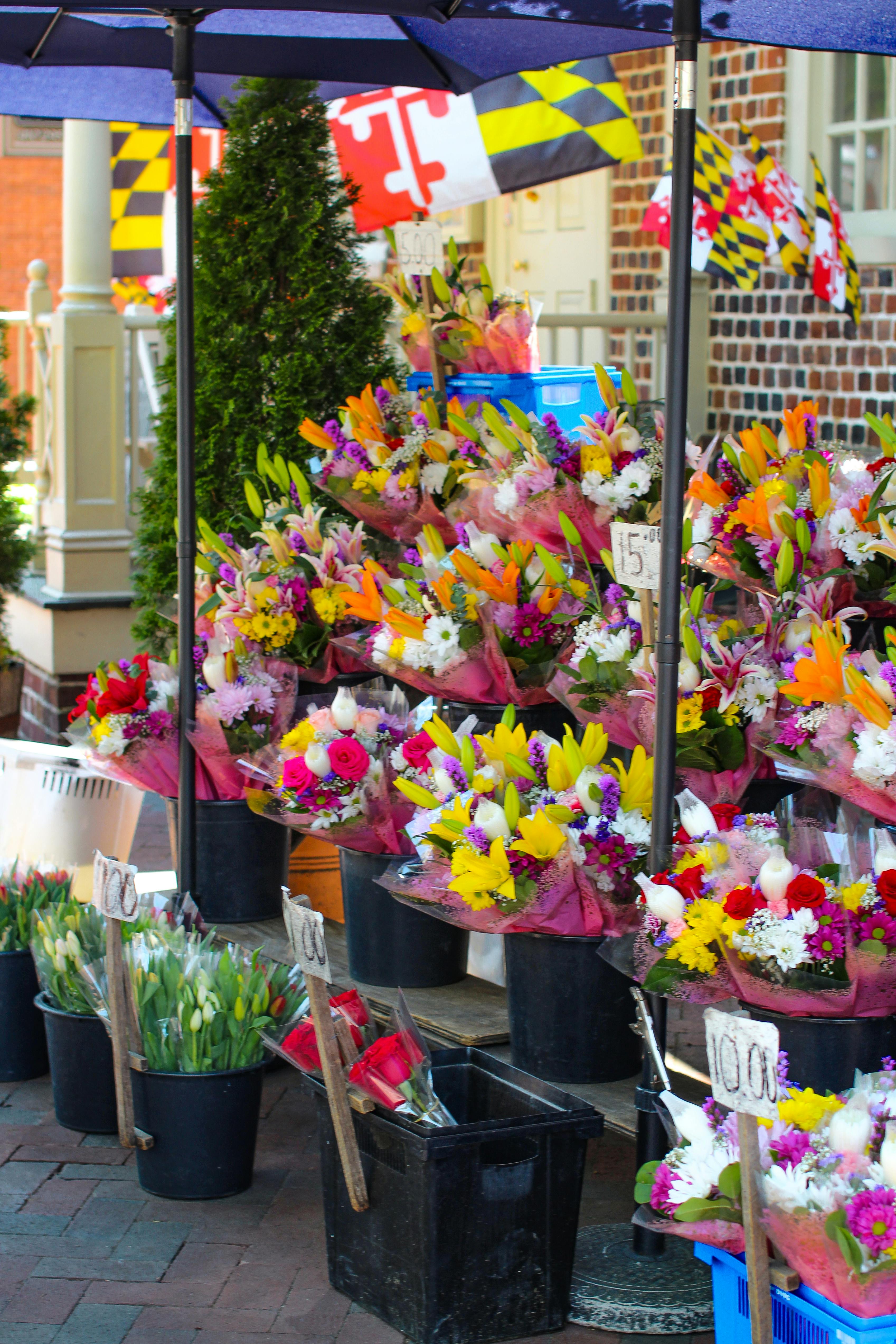 Jpg4+Us画像 Photos, Download The BEST Free Jpg4+Us画像 Stock Photos & HD Images