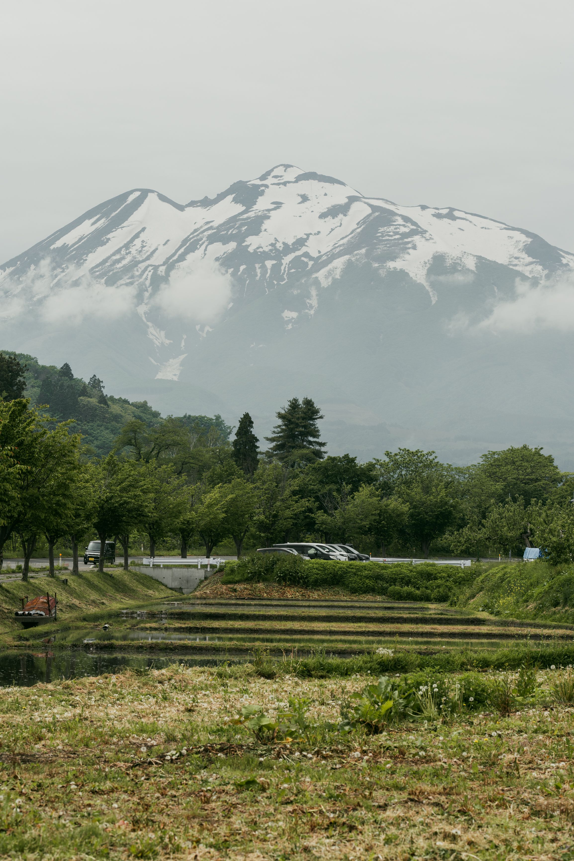 Japan Yatagi Photos, Download The BEST Free Japan Yatagi Stock Photos ...