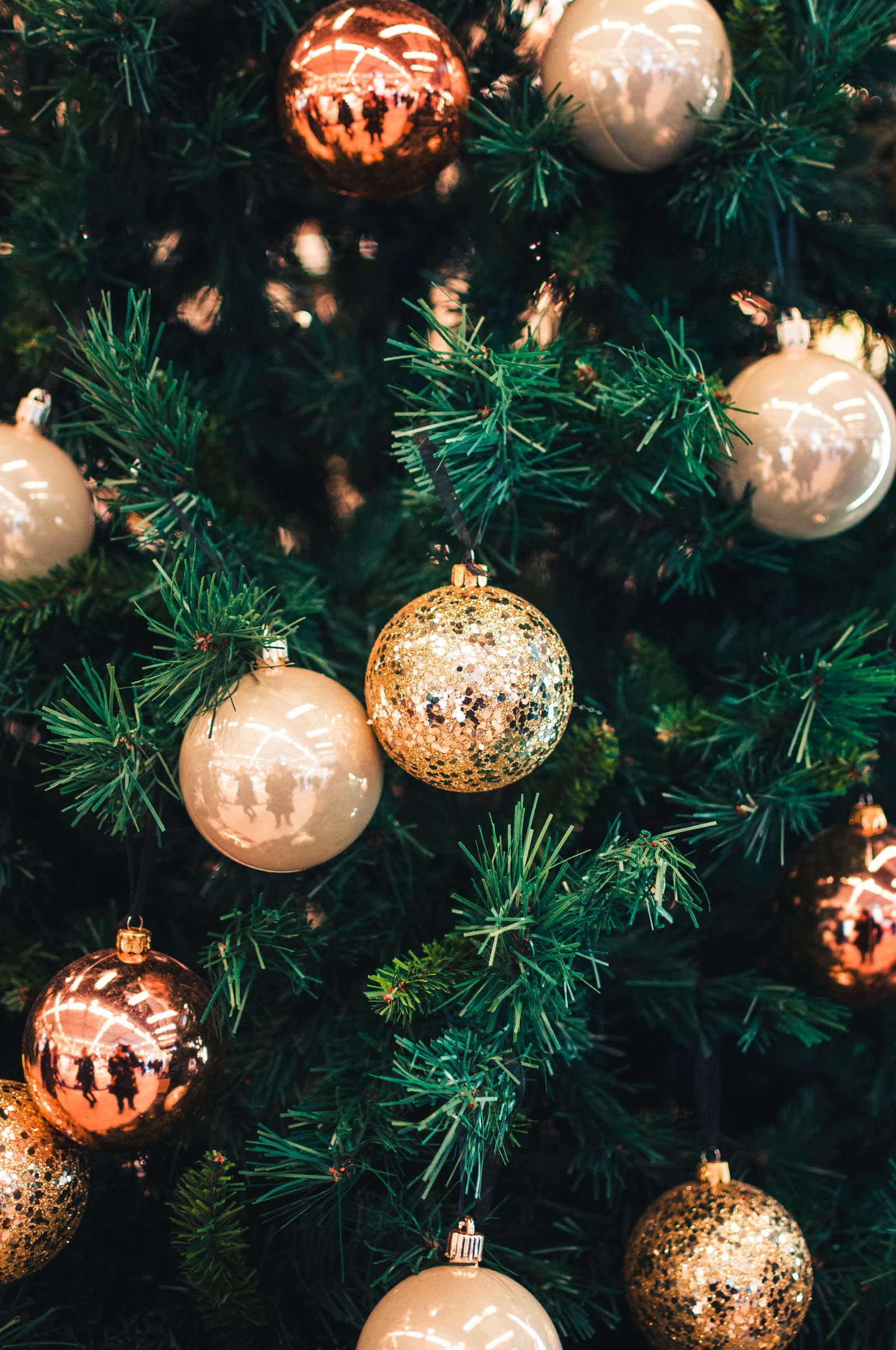 Christmas Decorations Photos, Download The BEST Free Christmas ...