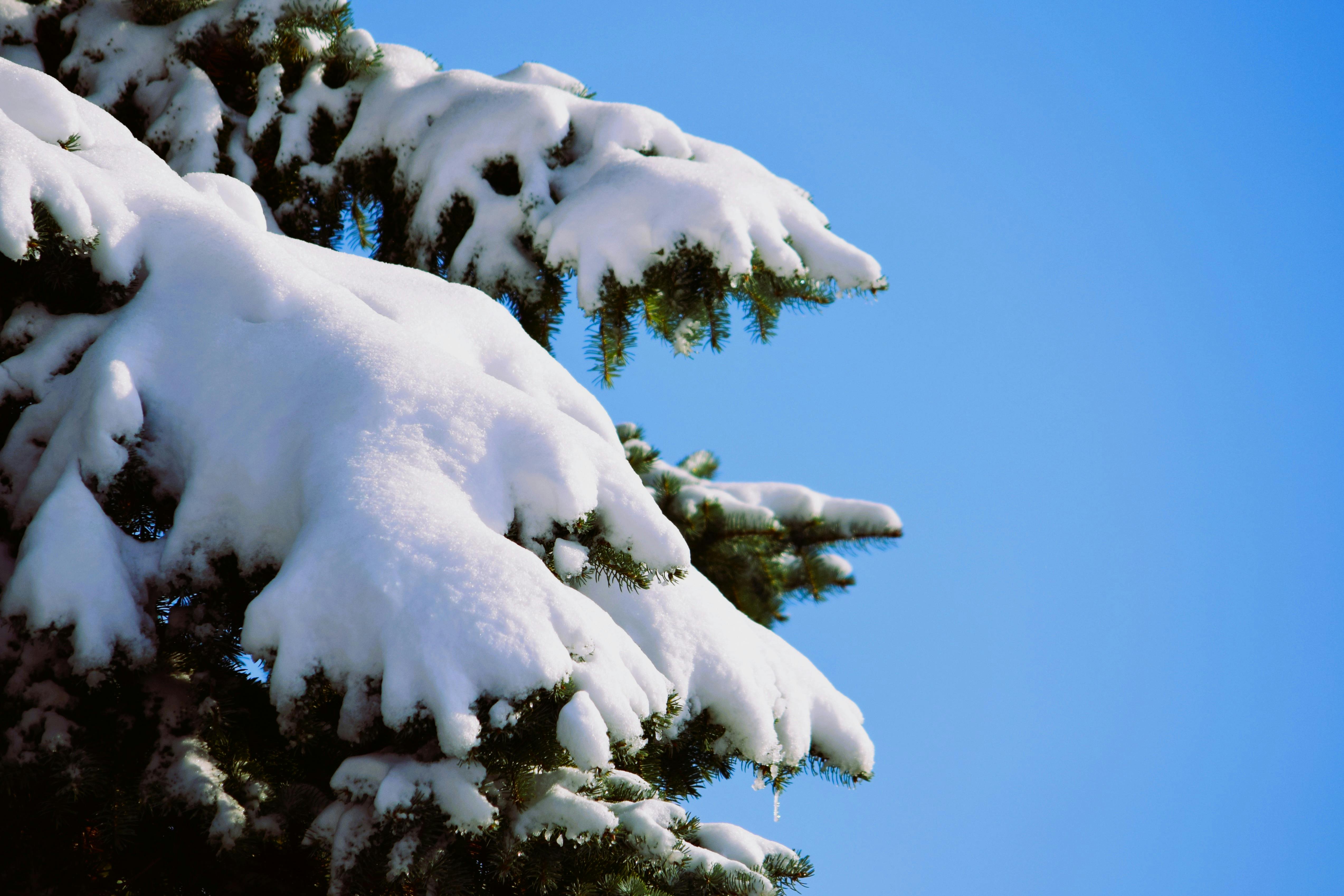 Landscape Reference Photos, Download The BEST Free Landscape Reference ...