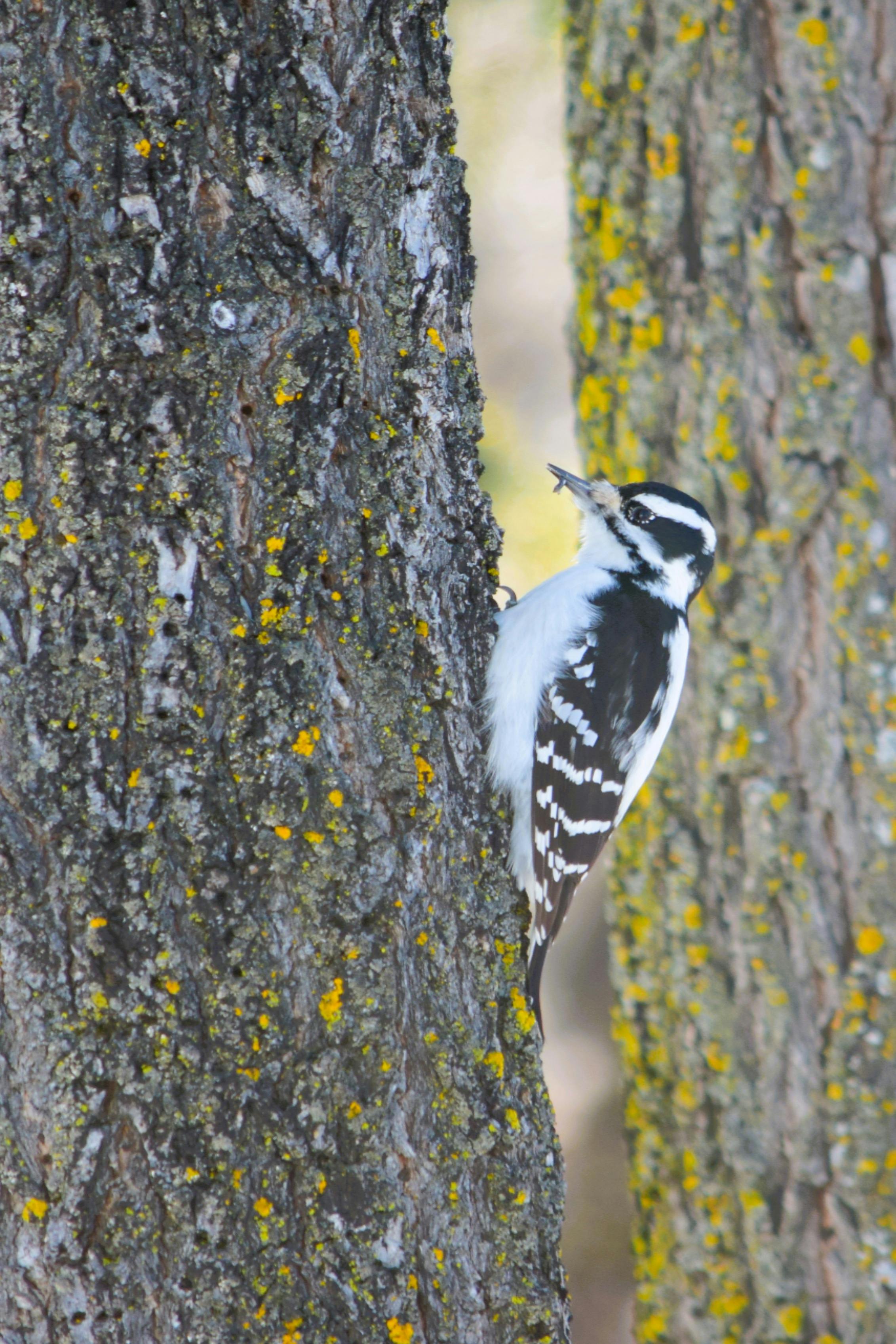 Gjerde Hole Photos, Download The BEST Free Gjerde Hole Stock Photos ...