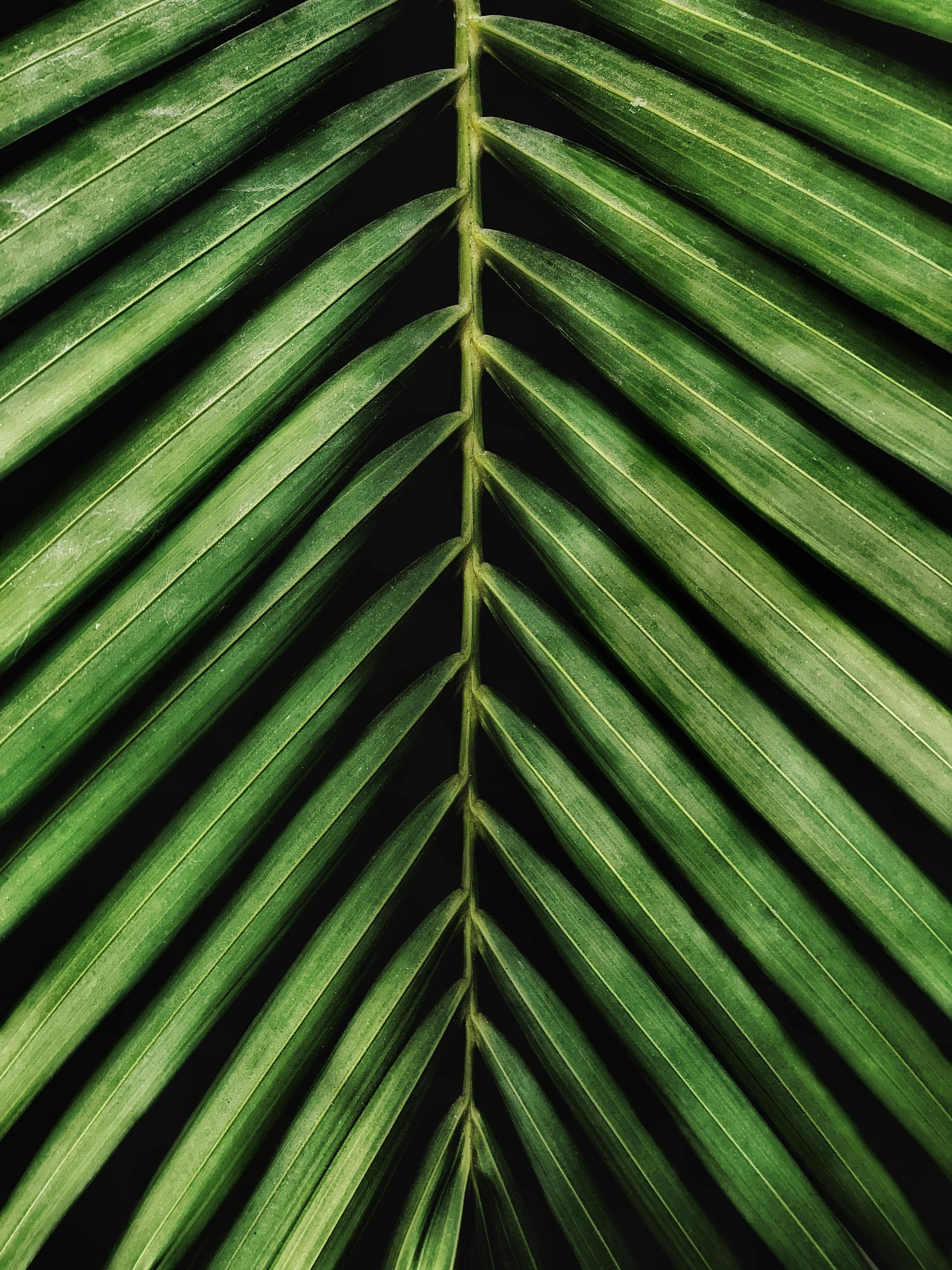 Capgemini+Wallpaper Photos, Download The BEST Free Capgemini+Wallpaper ...