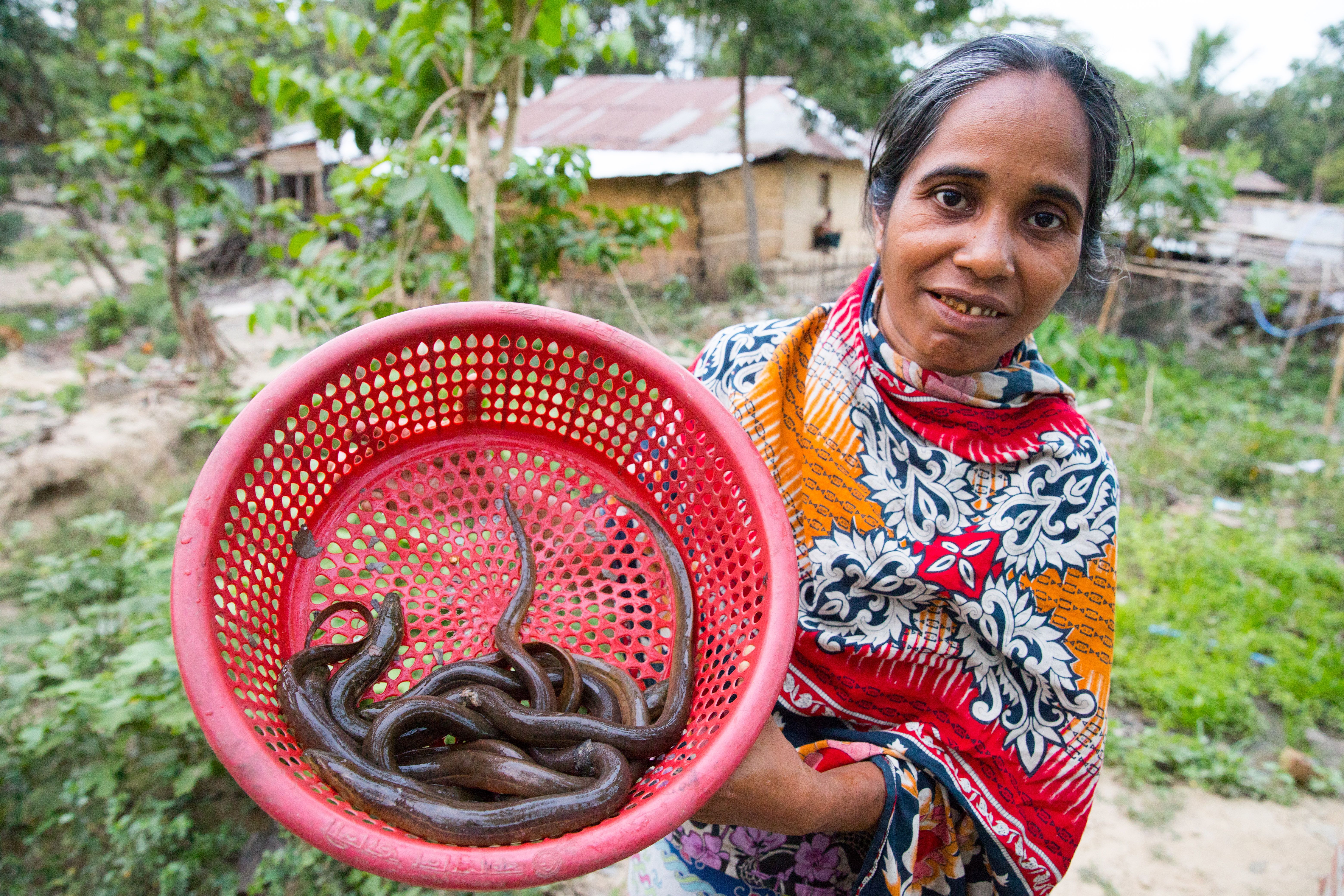Woman Showing Freshly Caught Eels in Chattogram · Free Stock Photo