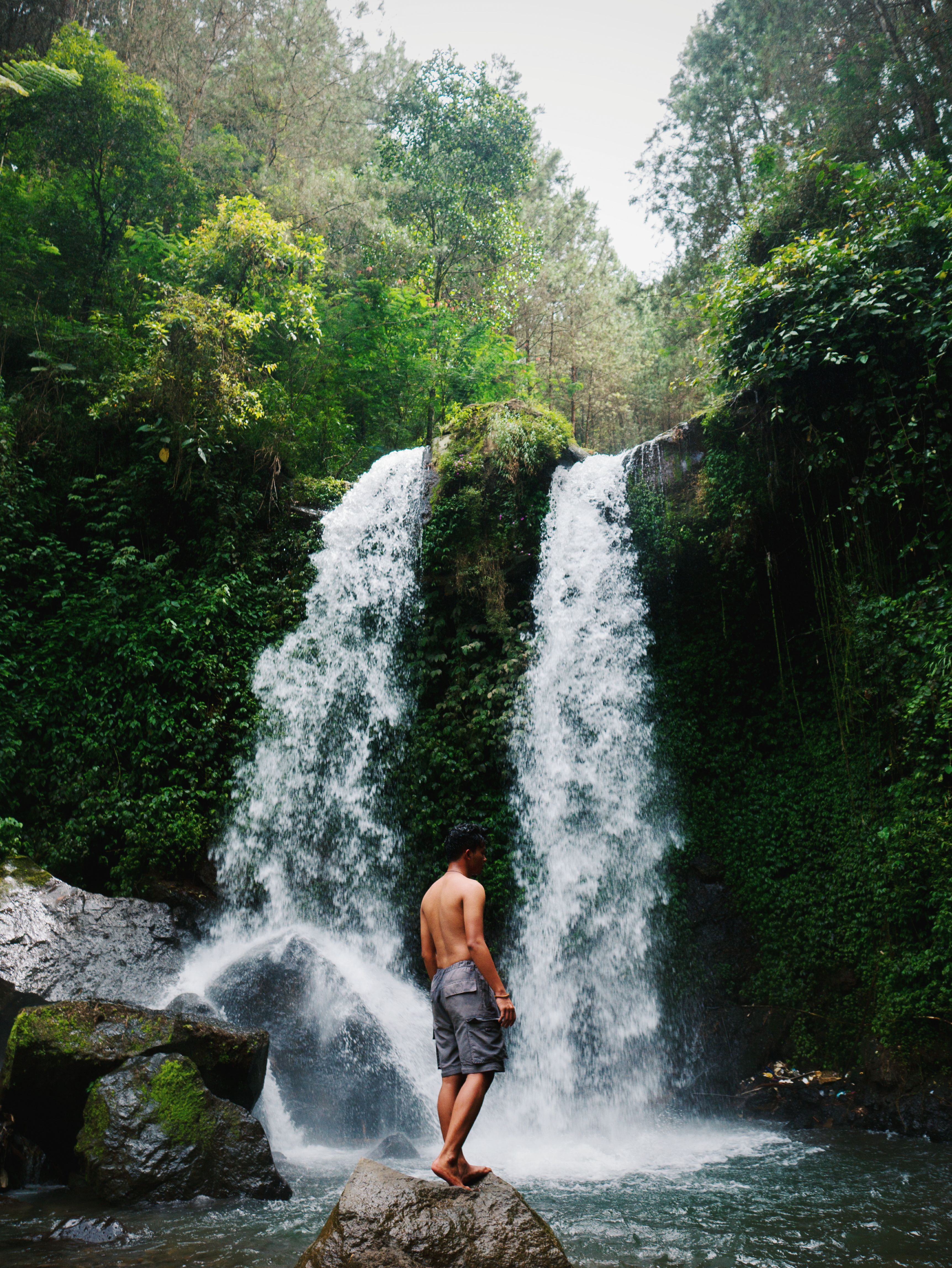 Man In Jungle Photos, Download The BEST Free Man In Jungle Stock Photos ...