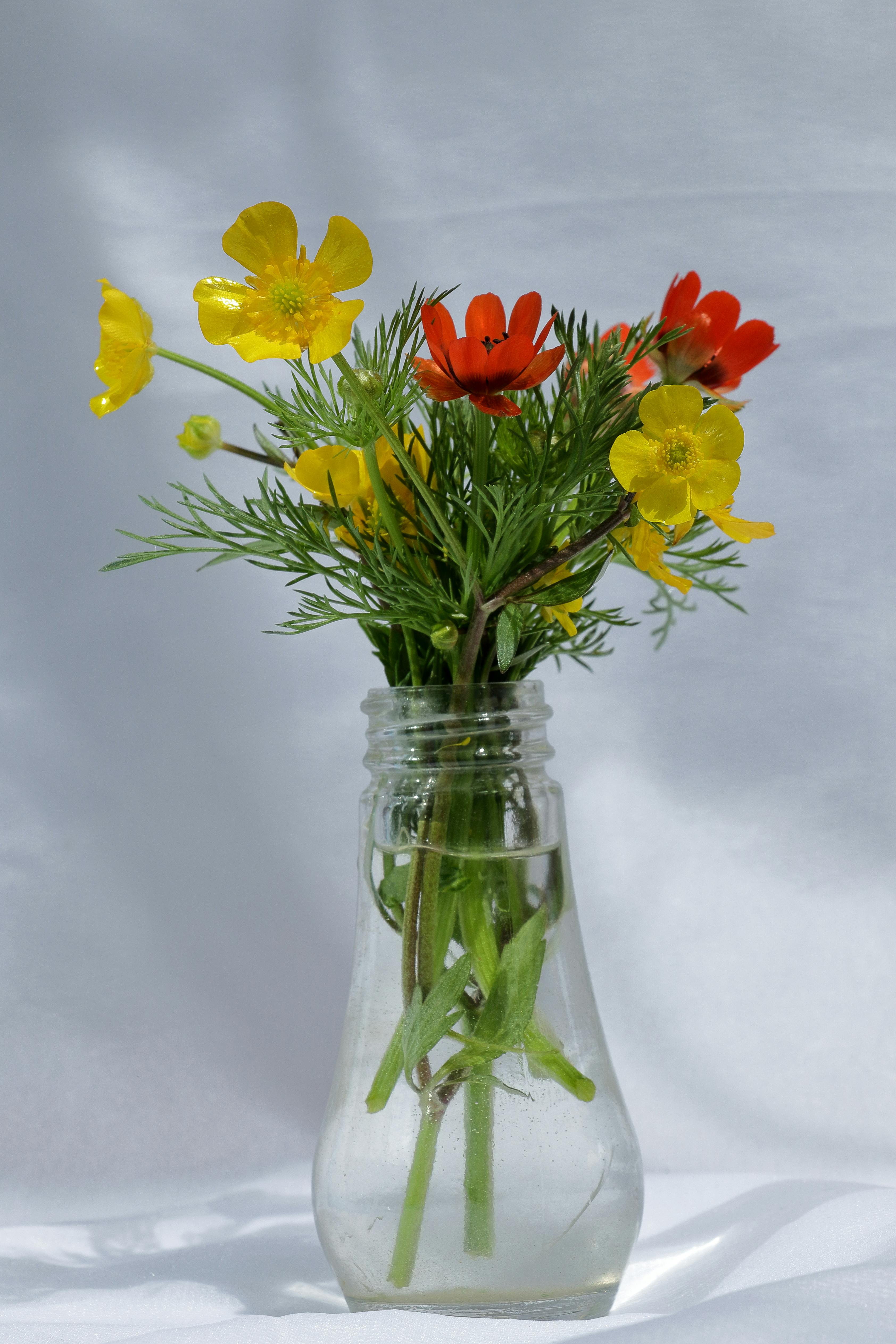 Viber Background Photos, Download The BEST Free Viber Background Stock ...