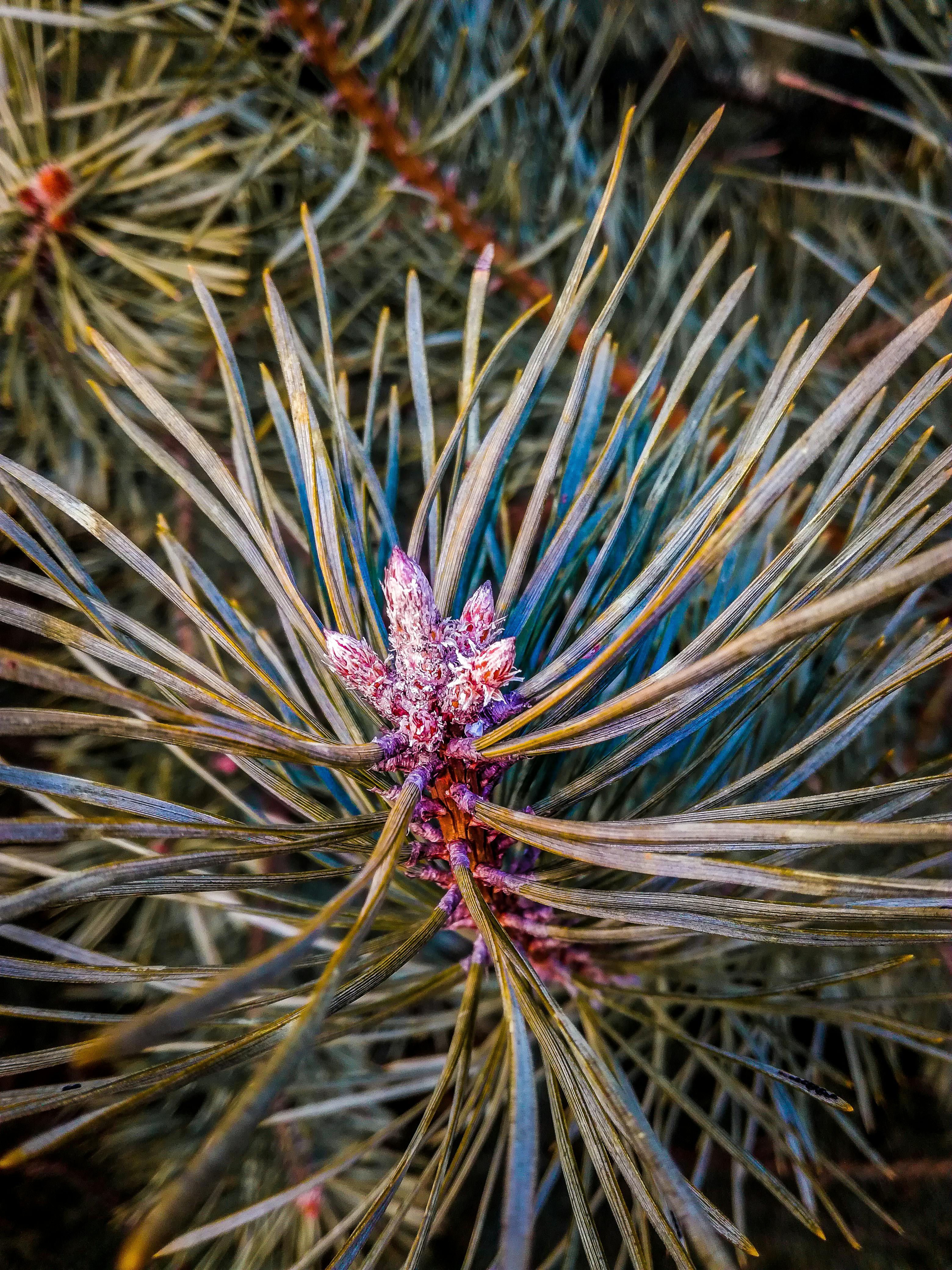 Gintaras · Photography