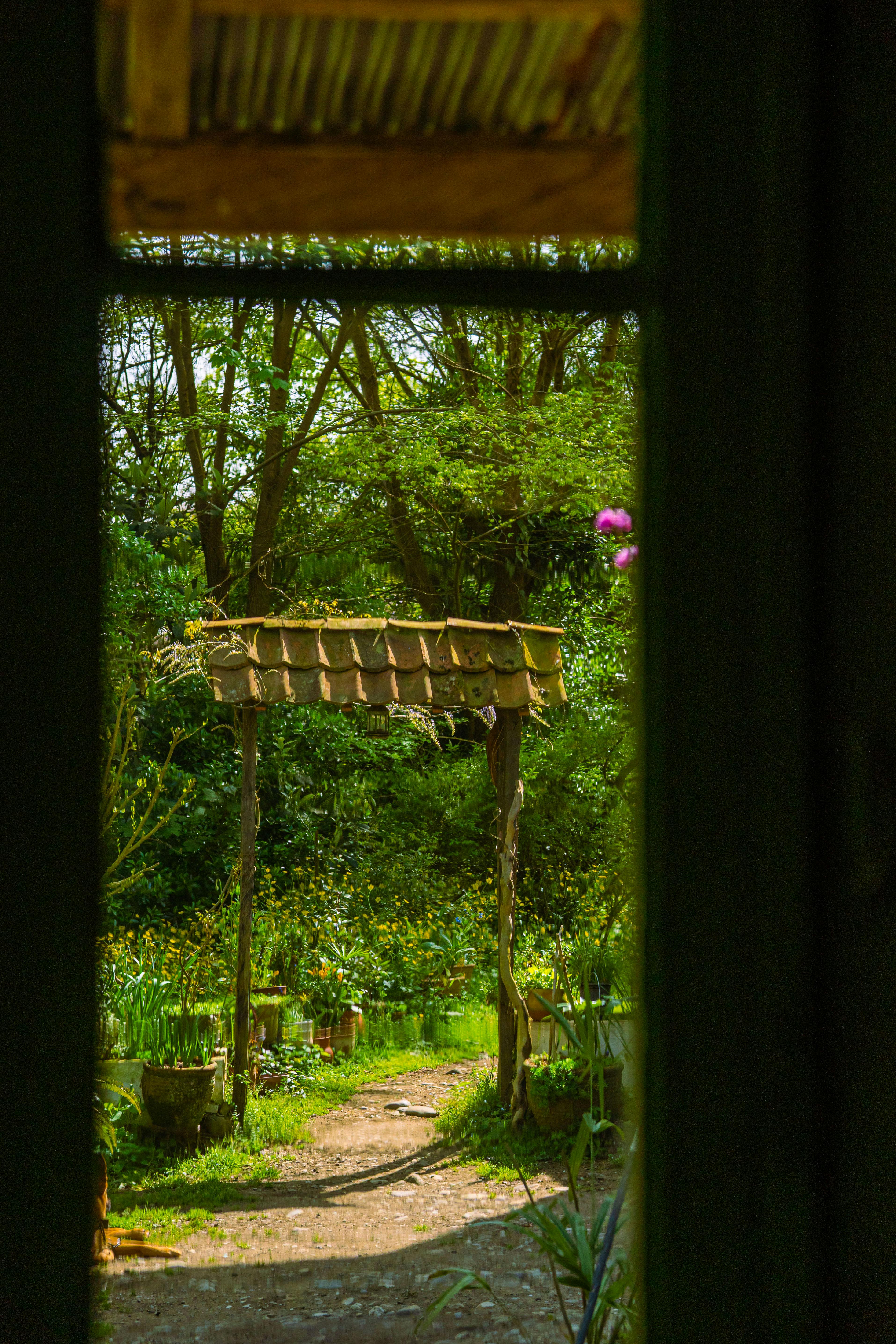 Rustic Garden View Through Window Frame · Free Stock Photo