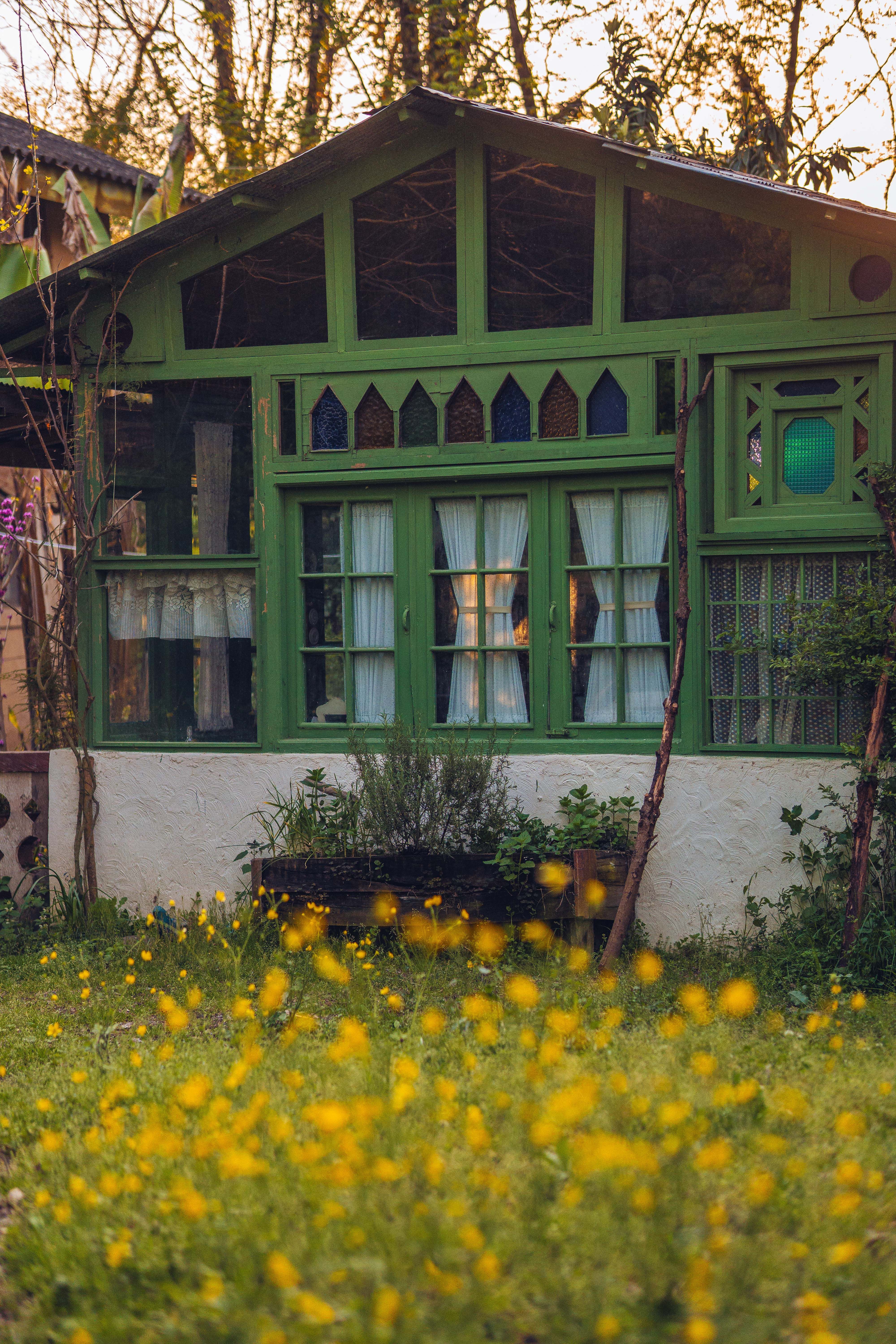 Charming Green Cottage Amid Spring Wildflowers · Free Stock Photo