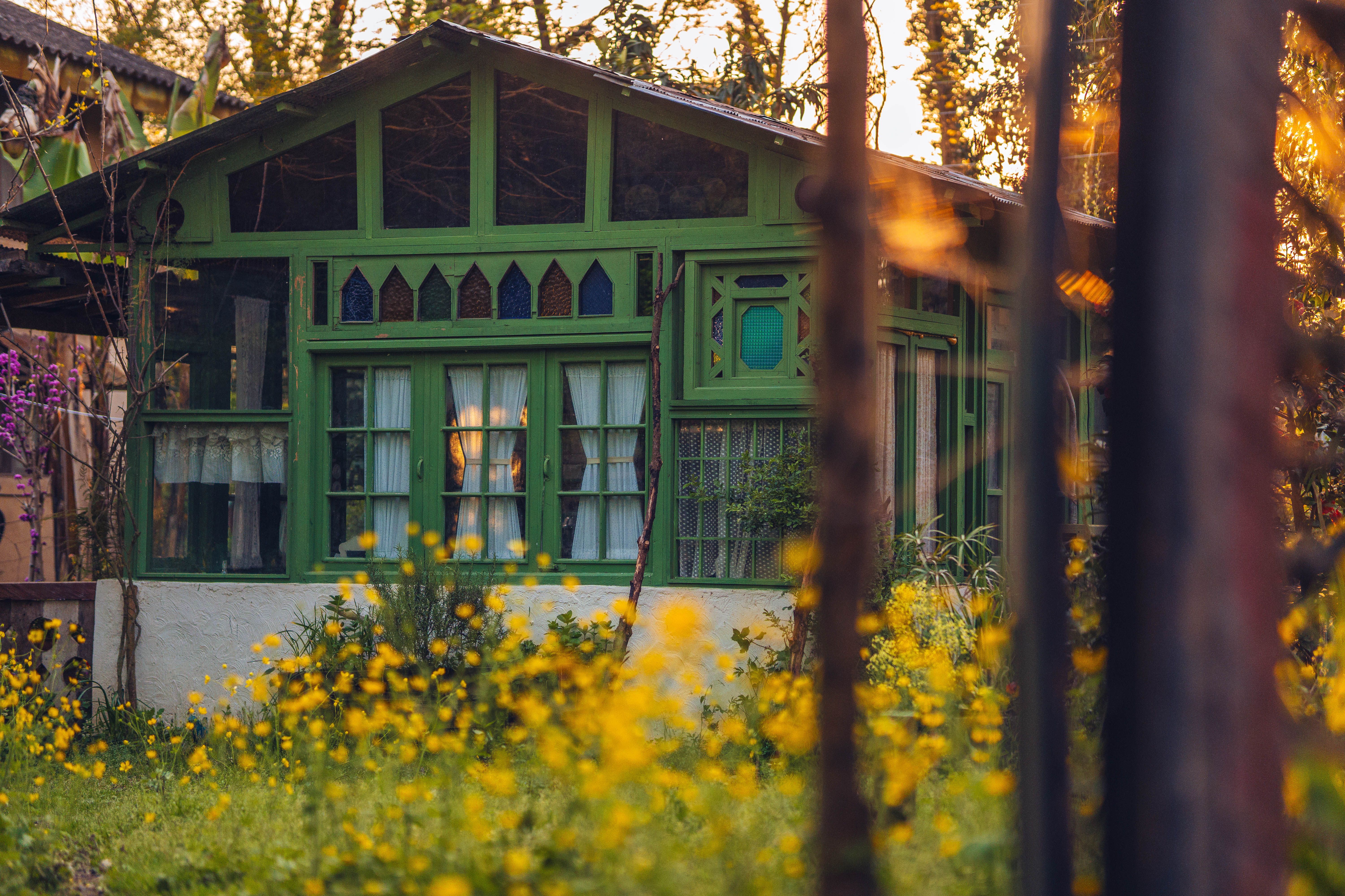 Charming Green Cottage Surrounded by Wildflowers · Free Stock Photo