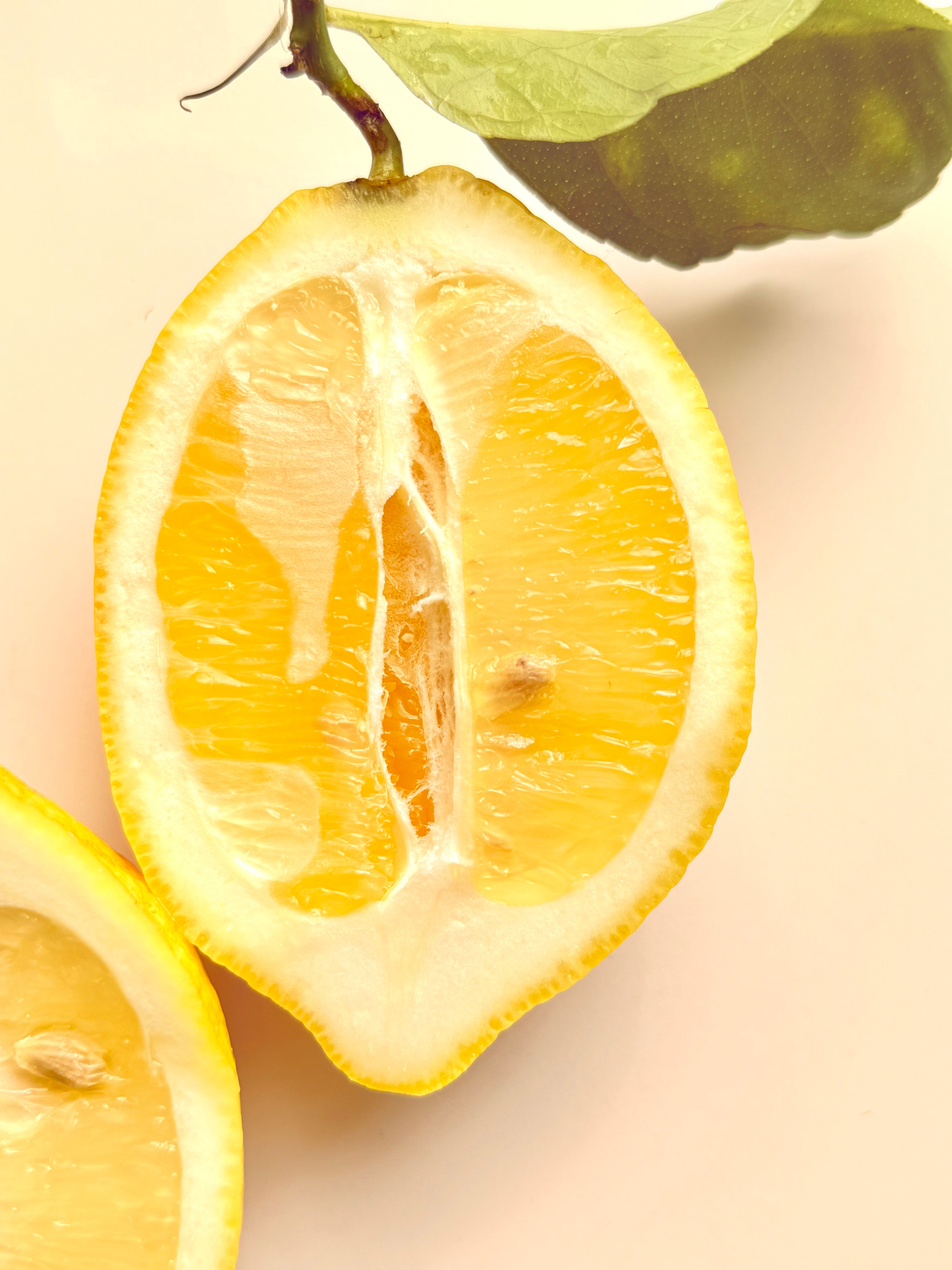 Fresh Lemon Slice with Leaf on Light Background · Free Stock Photo