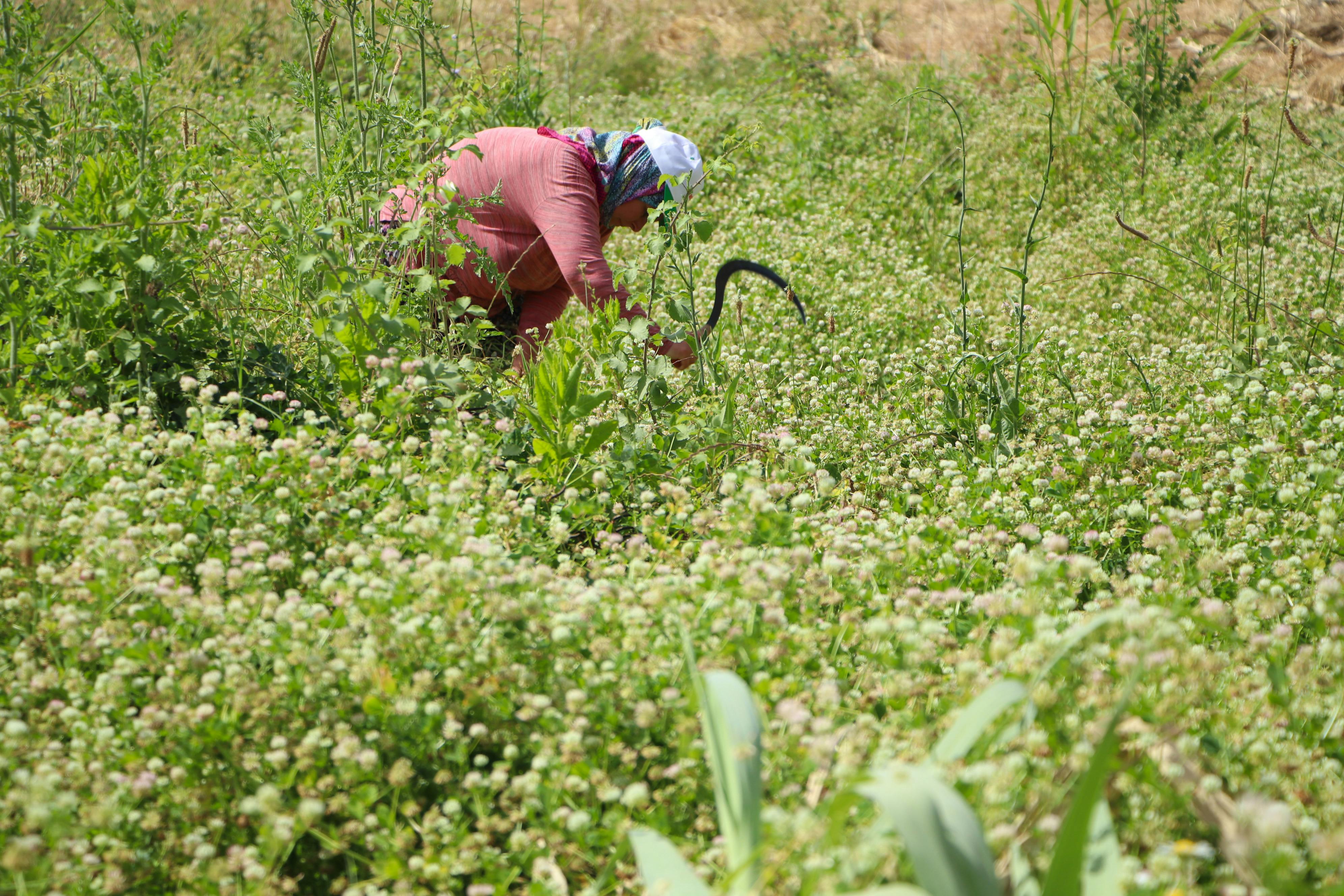 Perseverance Woman Photos, Download The BEST Free Perseverance Woman ...