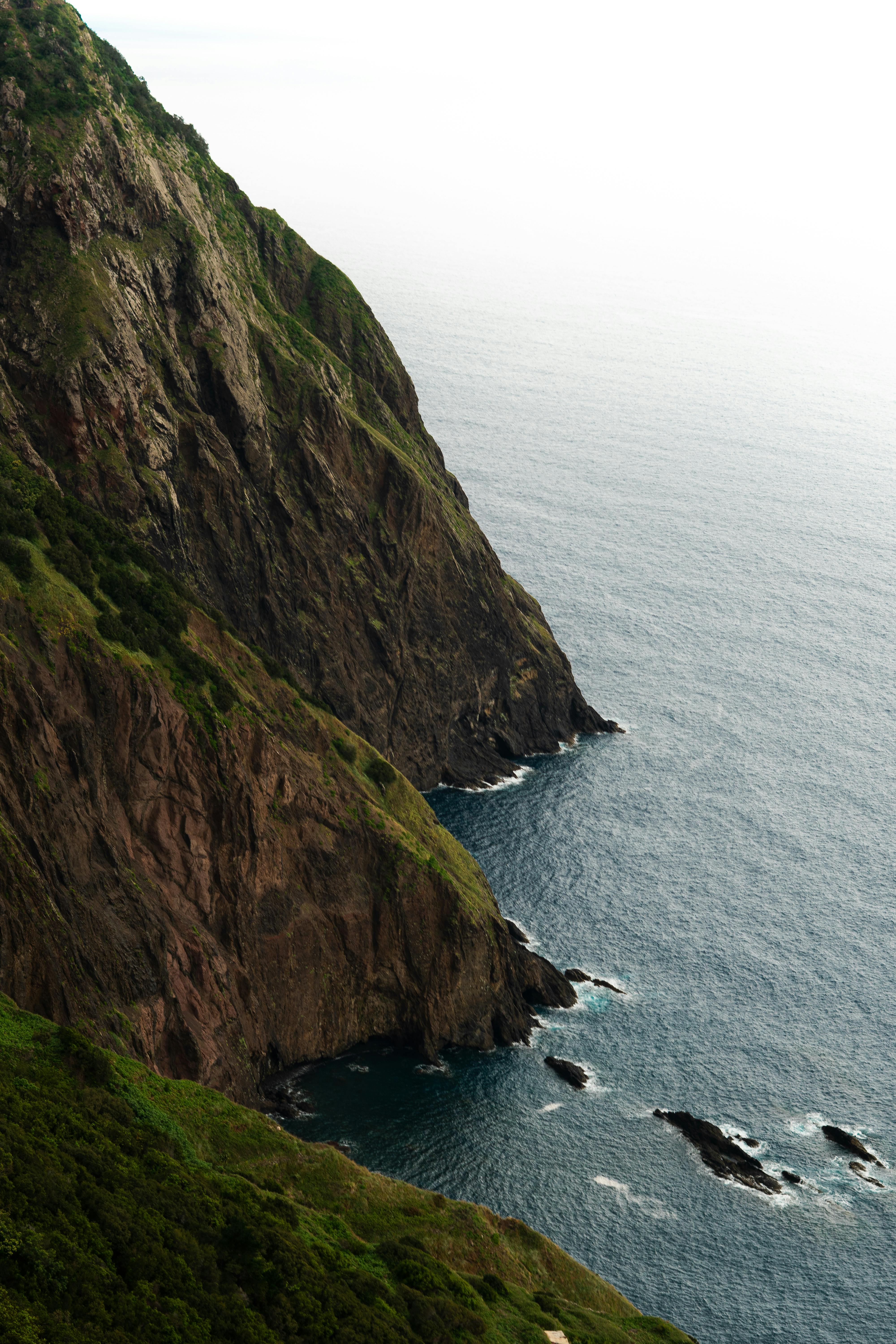 60.000+ Jo+and+judy+wallpaper Bilder und Fotos · Kostenlos Downloaden · Pexels Stock-Fotos