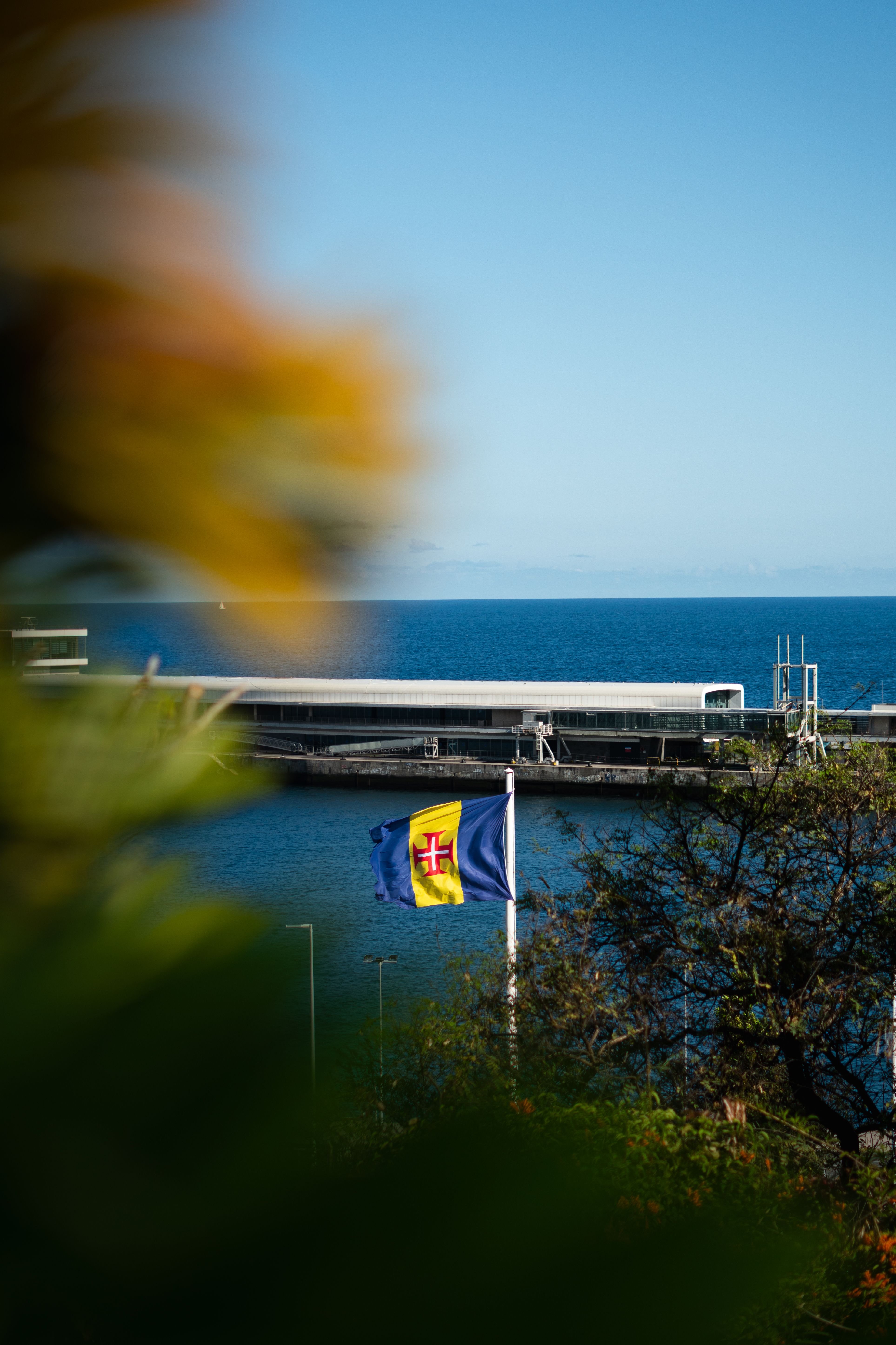 Madeira Flag Photos, Download The BEST Free Madeira Flag Stock Photos ...