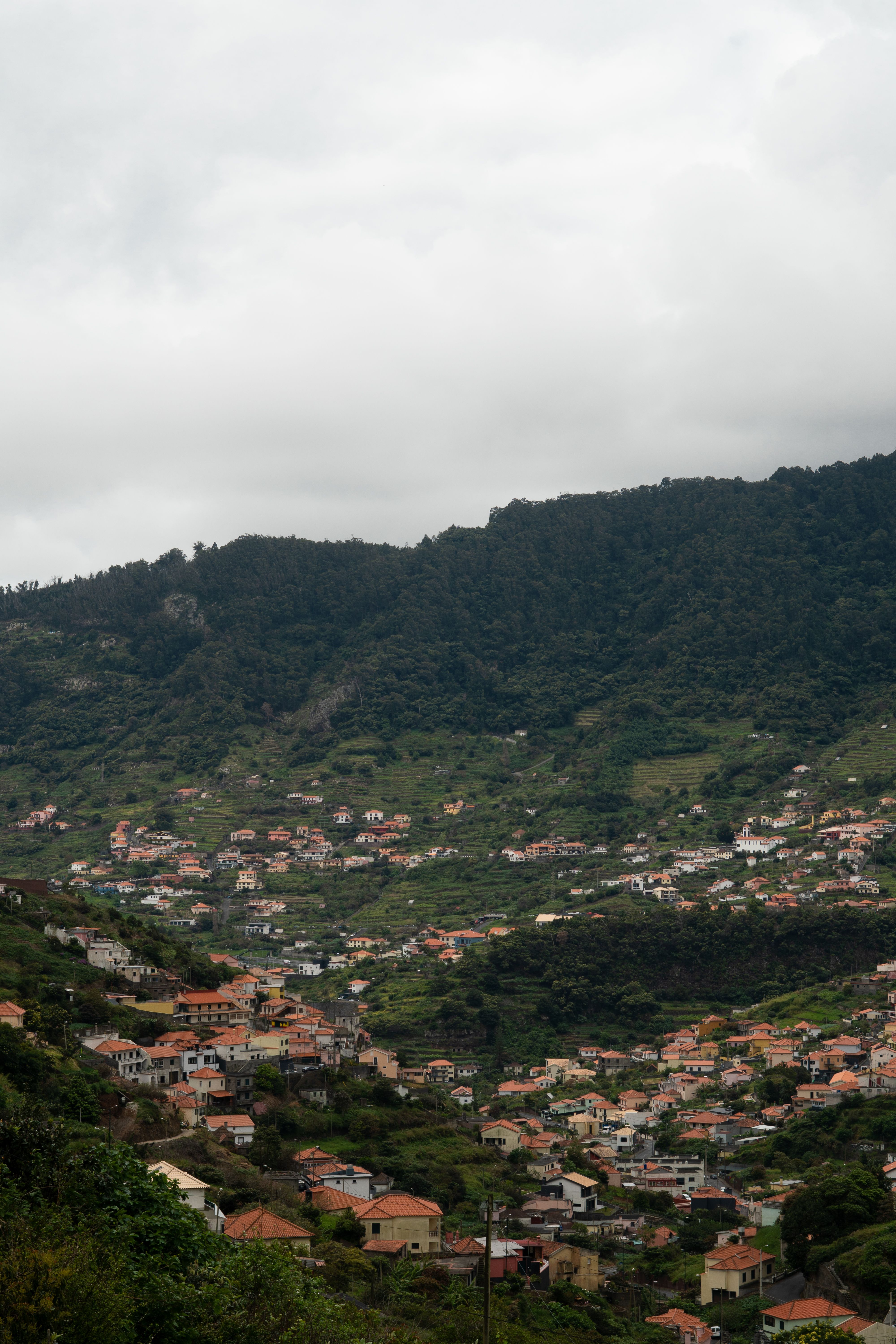 Scenic Mountain Village in Funchal, Madeira · Free Stock Photo