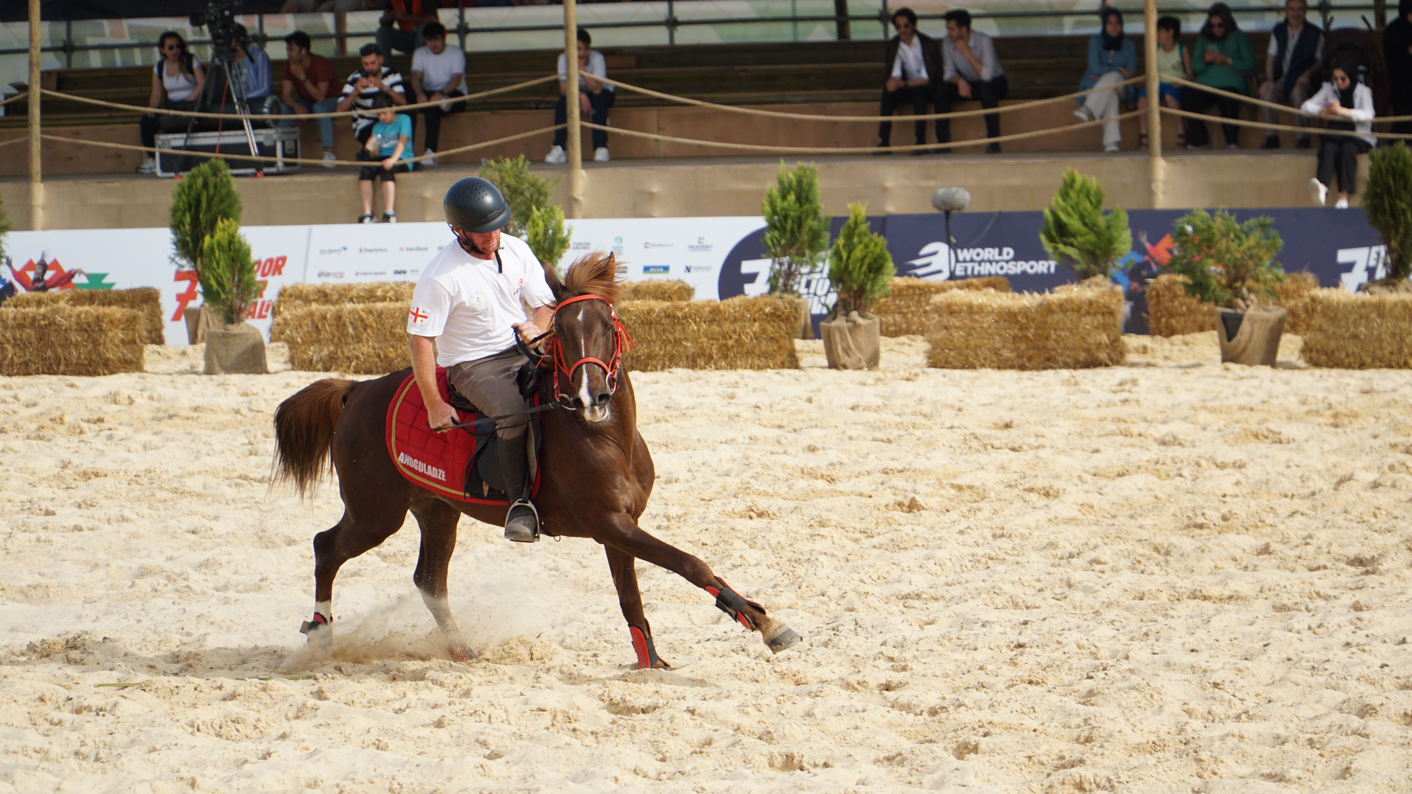 Equestrian Sport Event in İstanbul Arena · Free Stock Photo