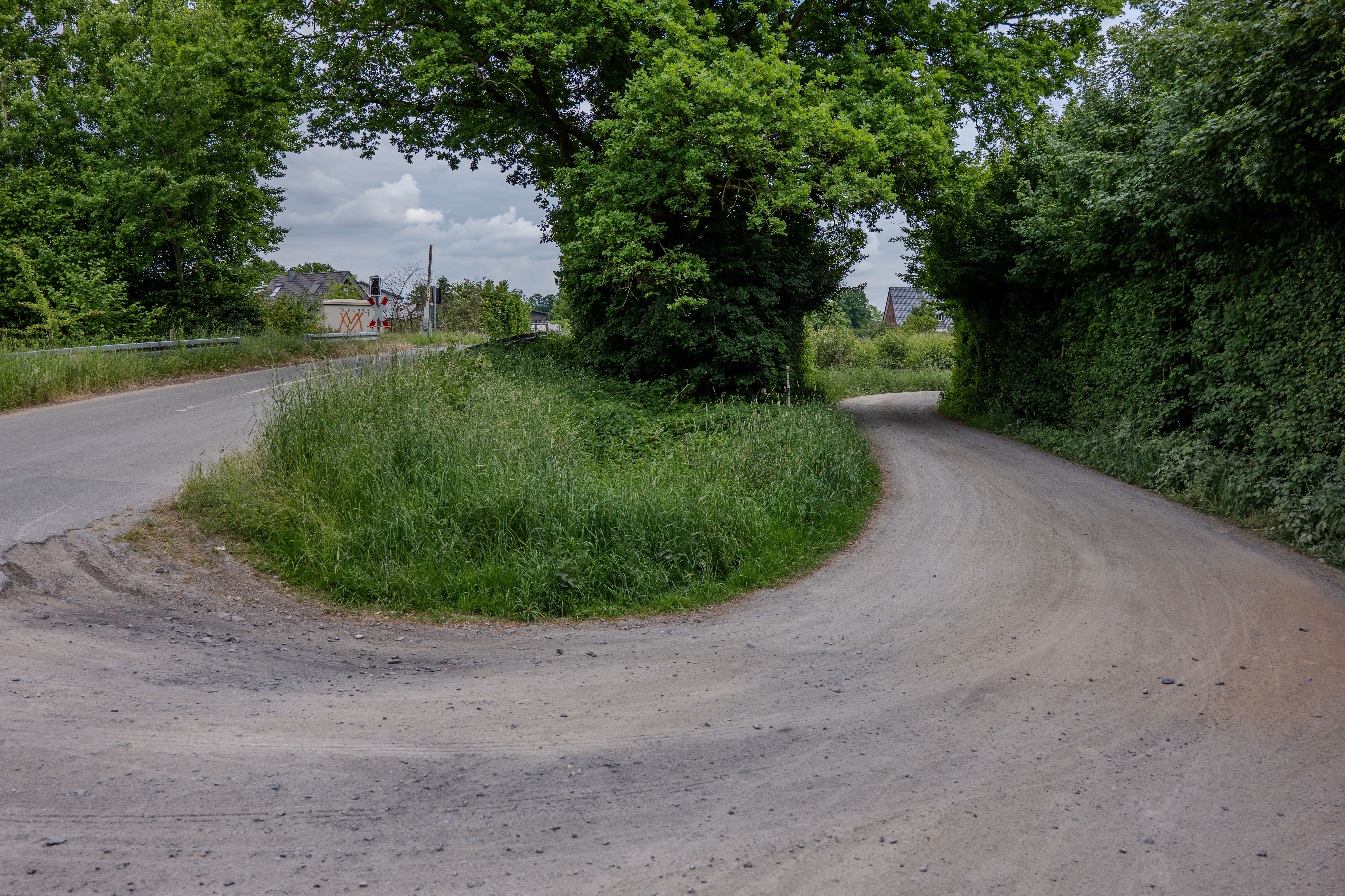 Scenic Country Road Bend with Lush Green Foliage · Free Stock Photo
