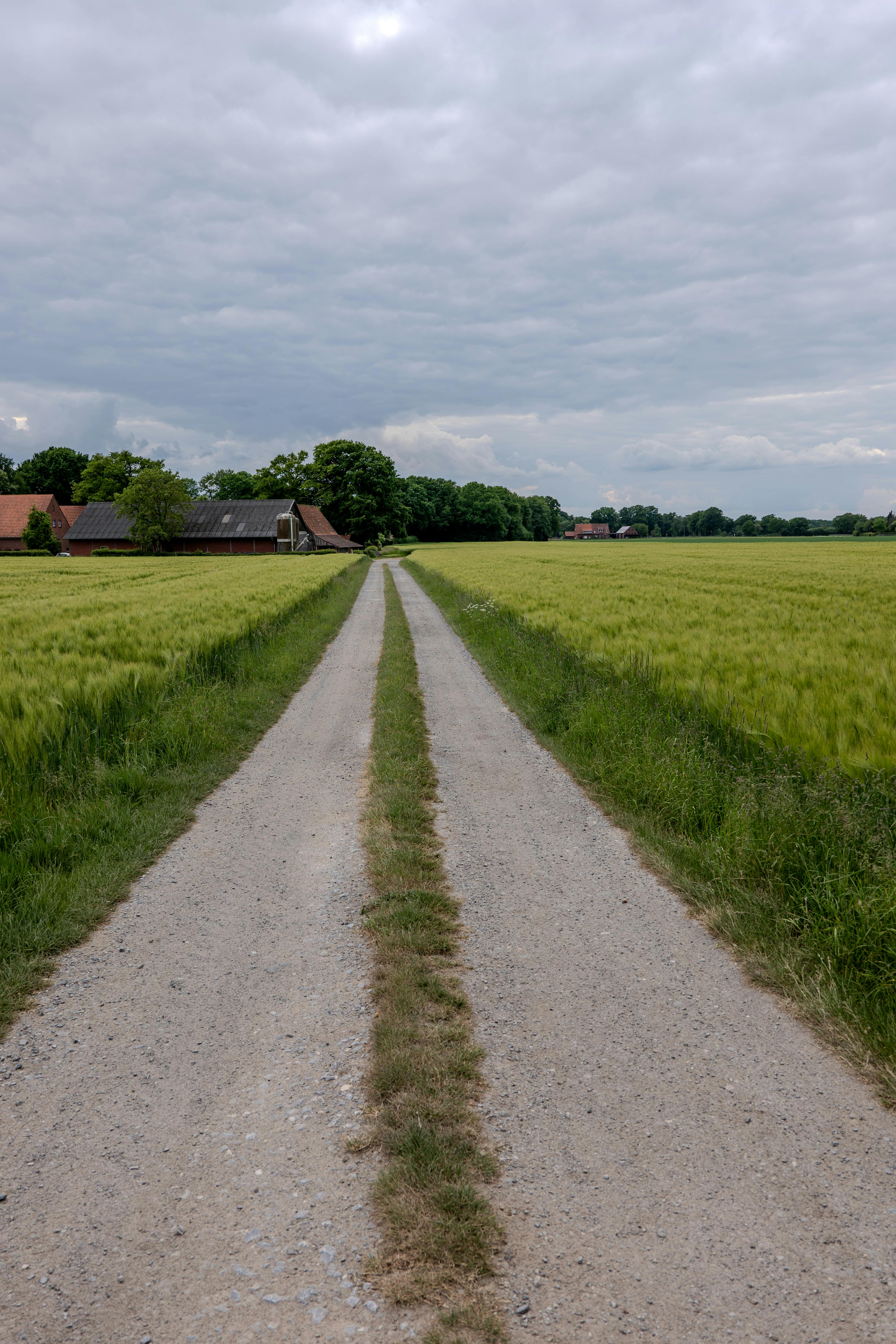 Field Farming Photos, Download The BEST Free Field Farming Stock Photos ...