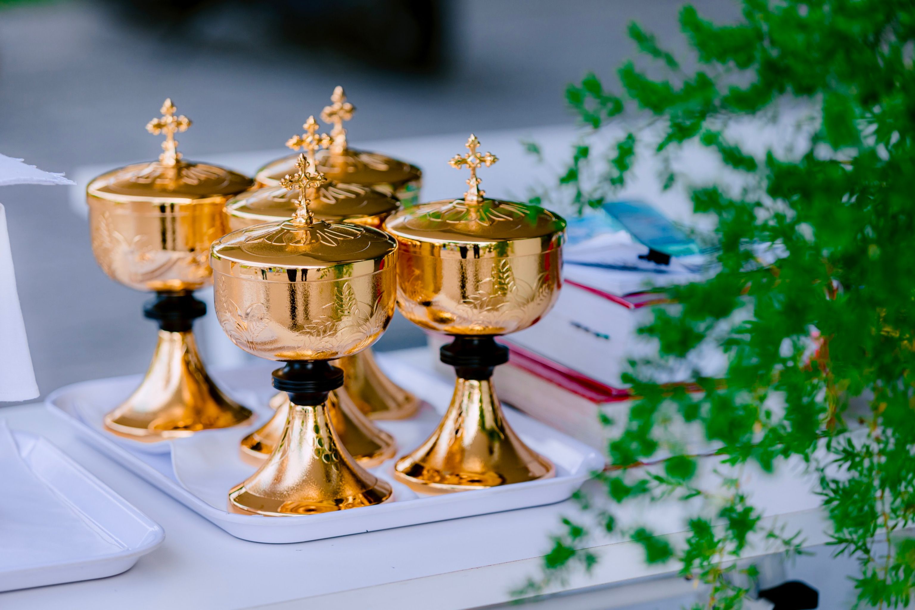 Golden Chalices on Display for Religious Ceremony · Free Stock Photo