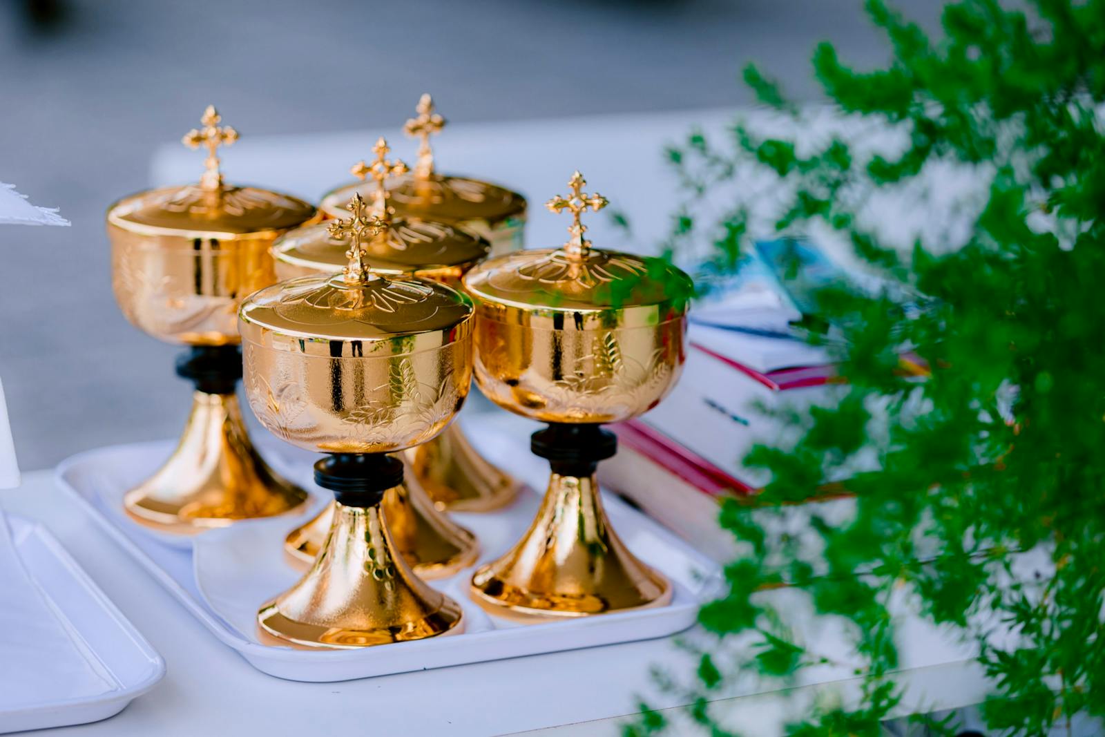 Holy Communion Photos, Download The BEST Free Holy Communion Stock ...