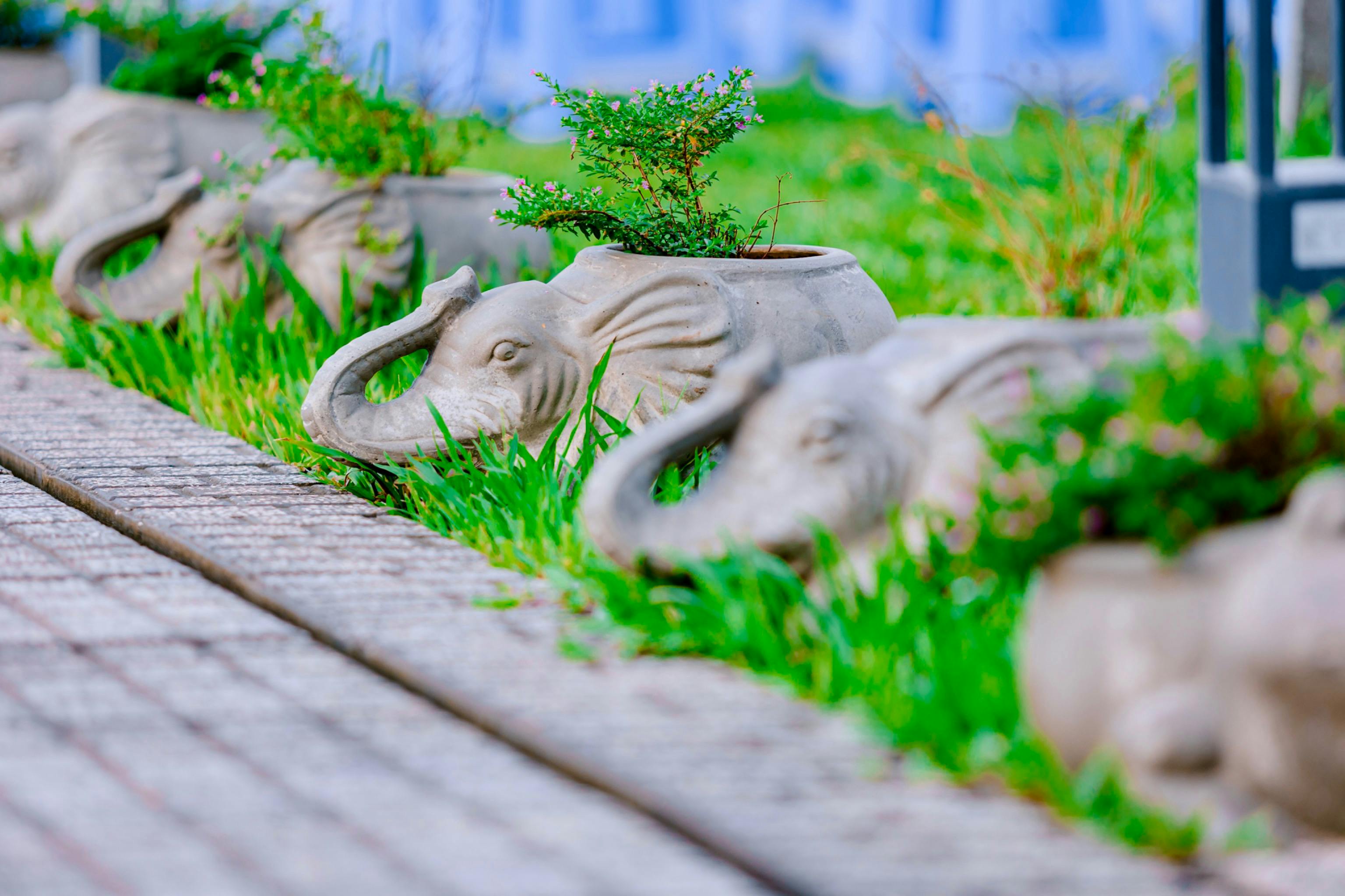 200.000+ melhores imagens de 209+animation · Download 100% grátis ...