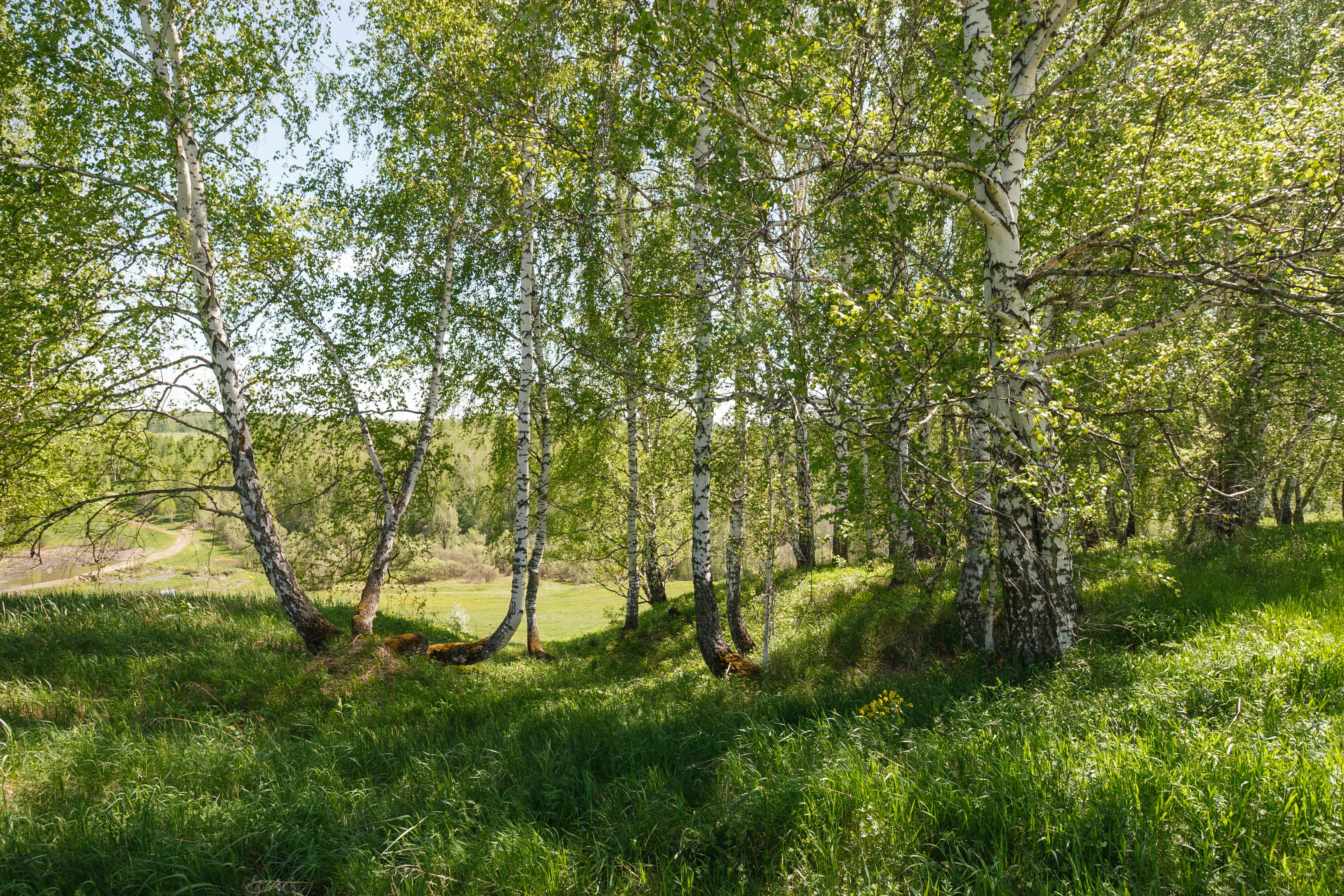 Cybersigilism Wallpaper Photos, Download The BEST Free Cybersigilism ...