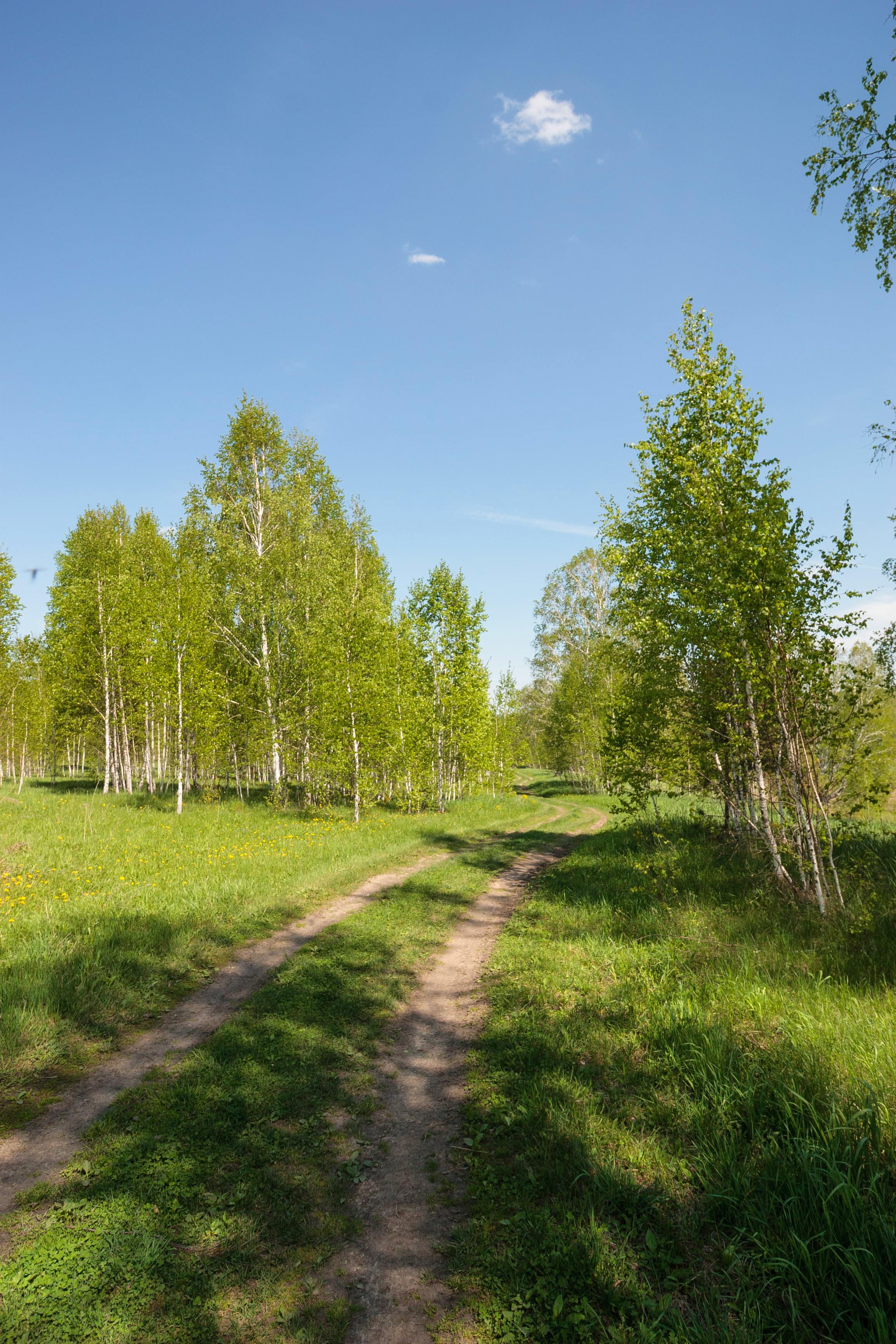 May Scenery Landscape Photos, Download The BEST Free May Scenery ...