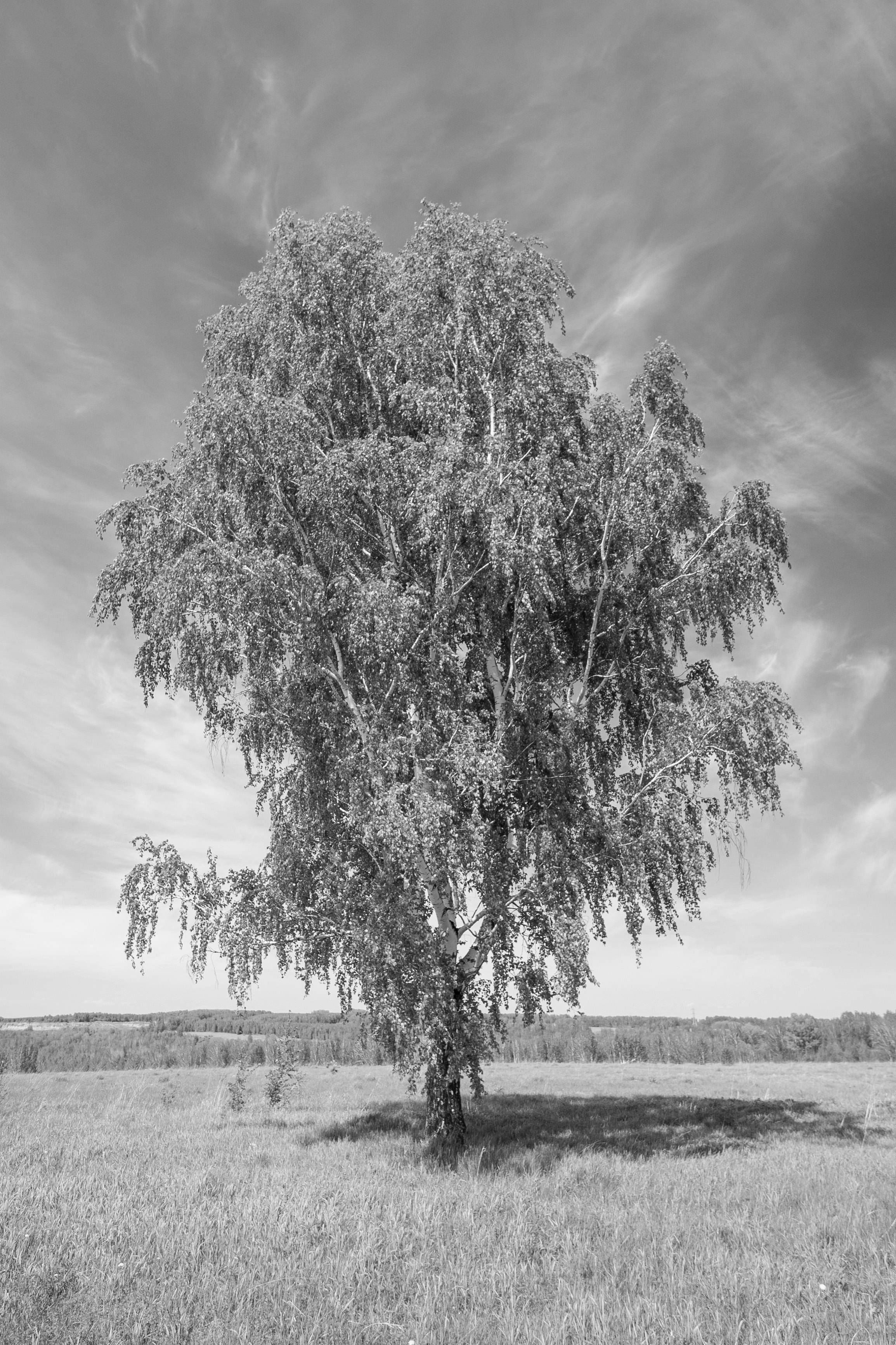 Tuff Wallpaper Photos, Download The BEST Free Tuff Wallpaper Stock ...