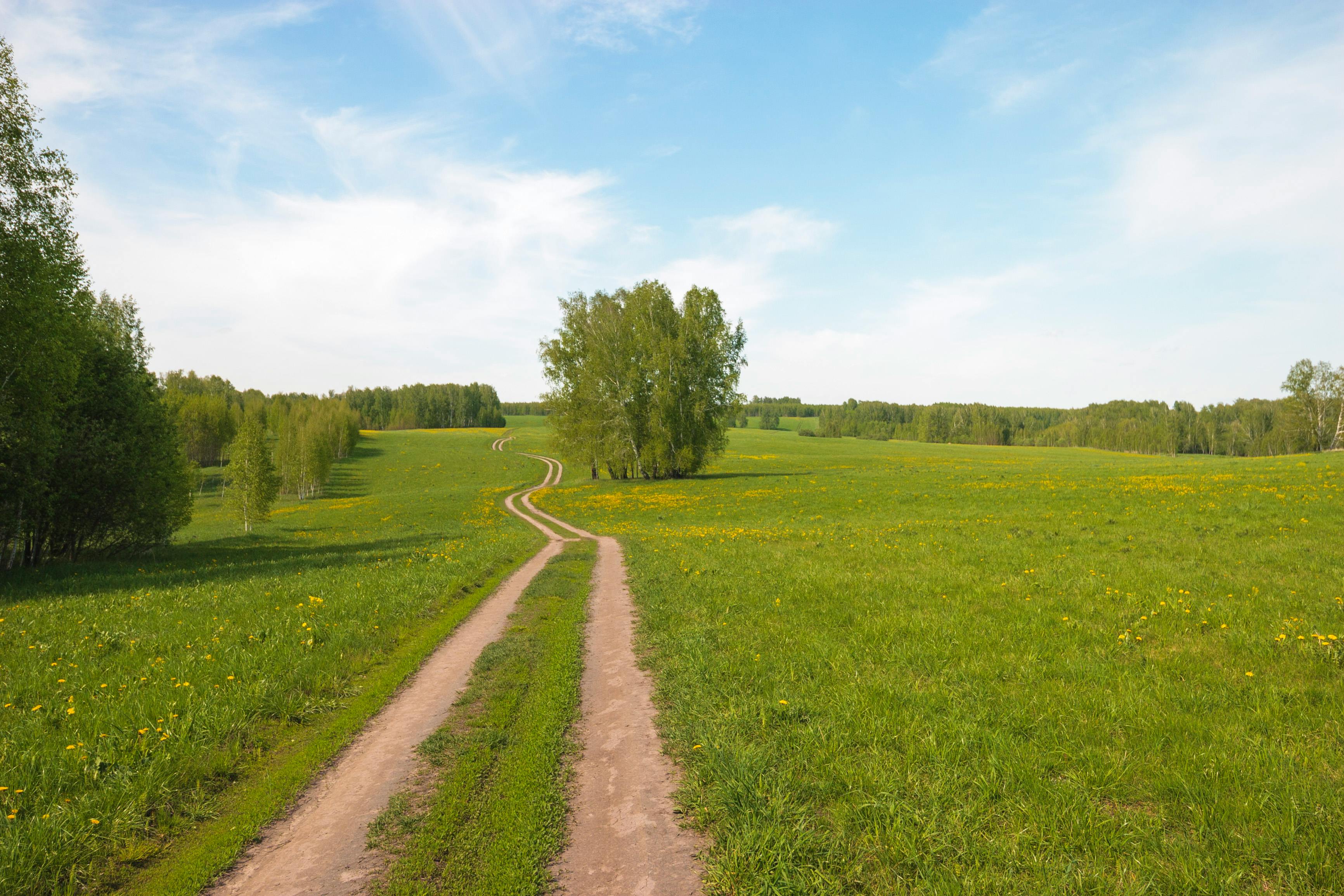 Cybersigilism Wallpaper Photos, Download The BEST Free Cybersigilism ...