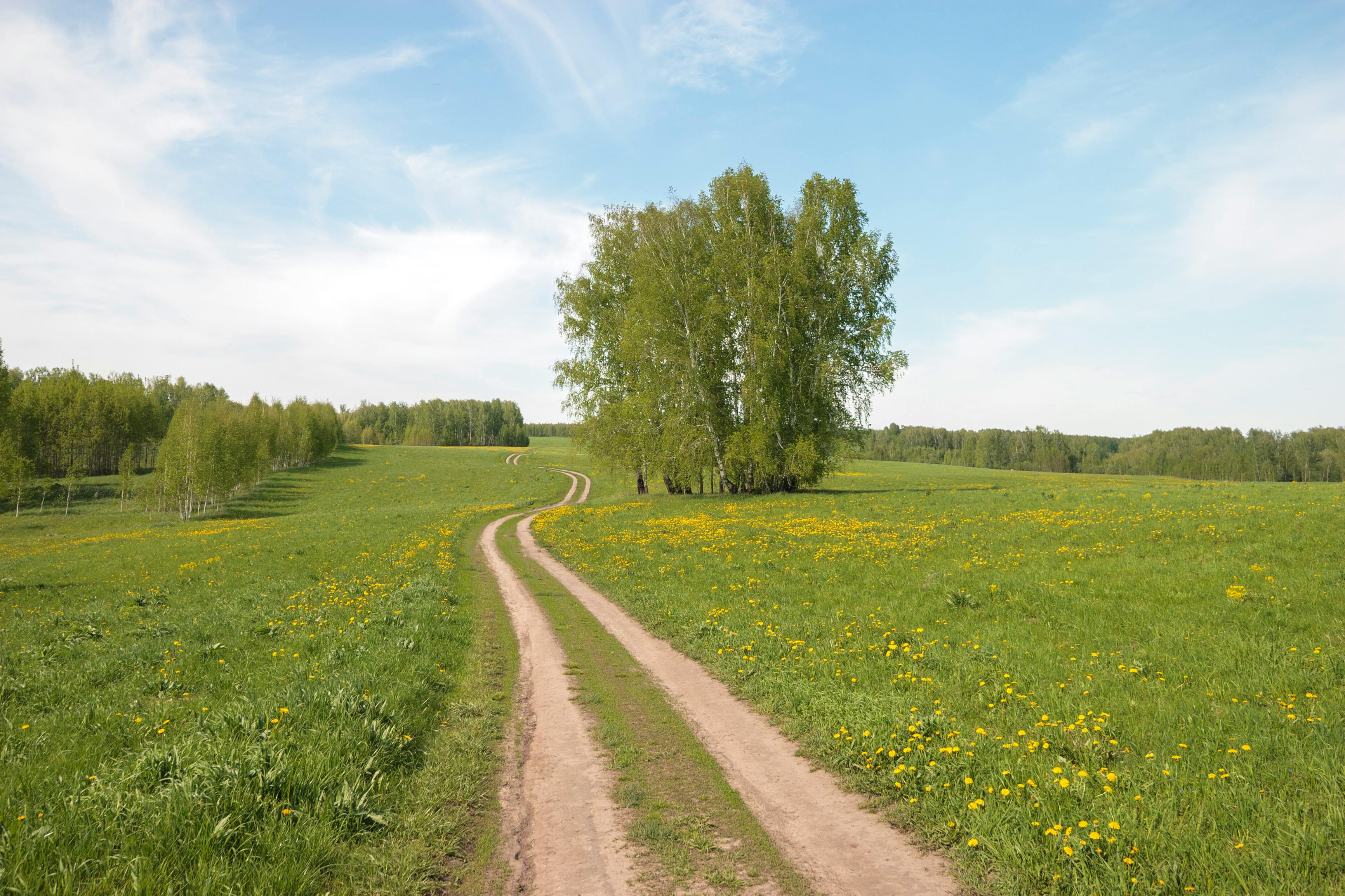 Cybersigilism Wallpaper Photos, Download The BEST Free Cybersigilism ...