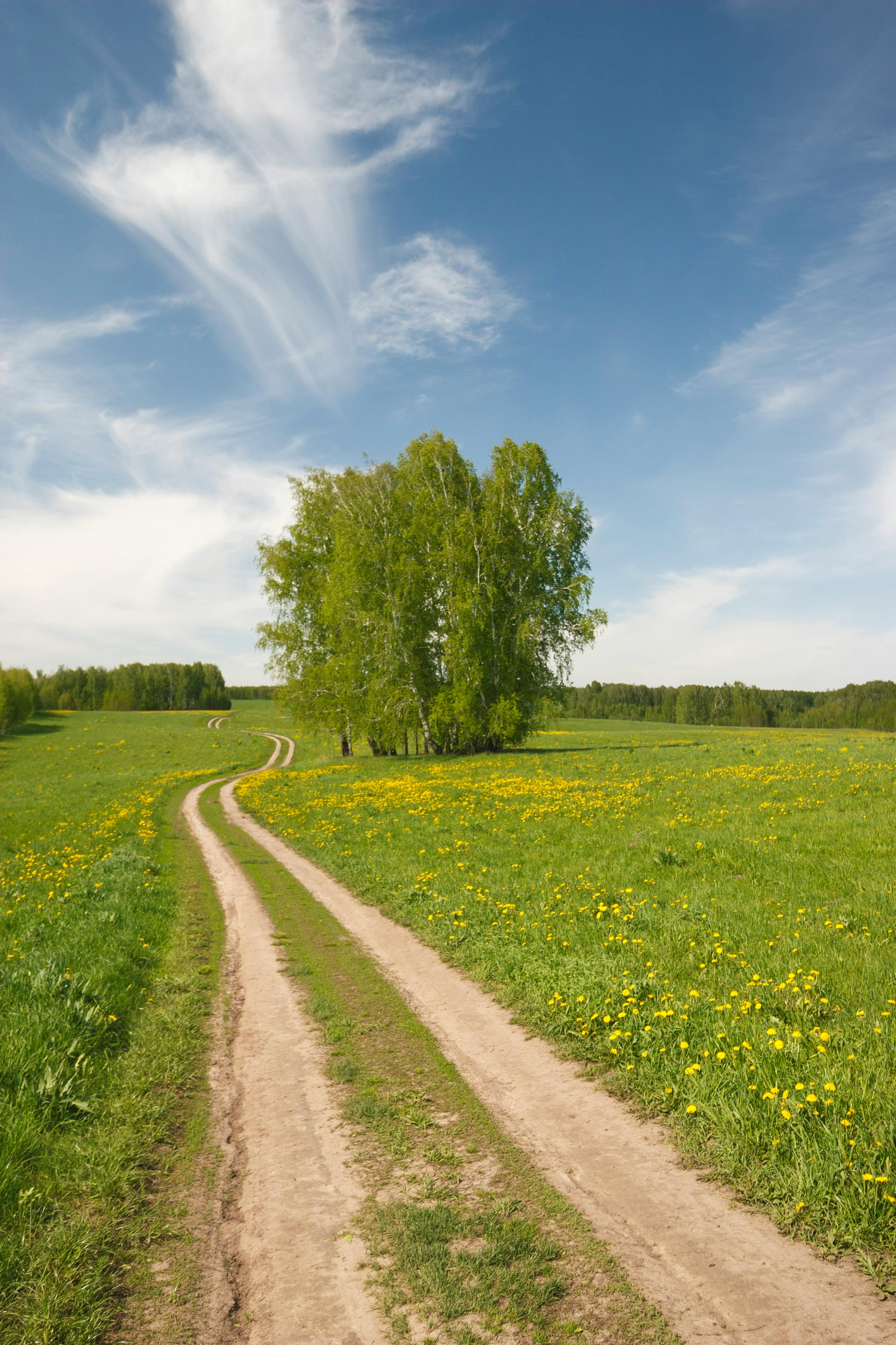 Cybersigilism Wallpaper Photos, Download The BEST Free Cybersigilism ...