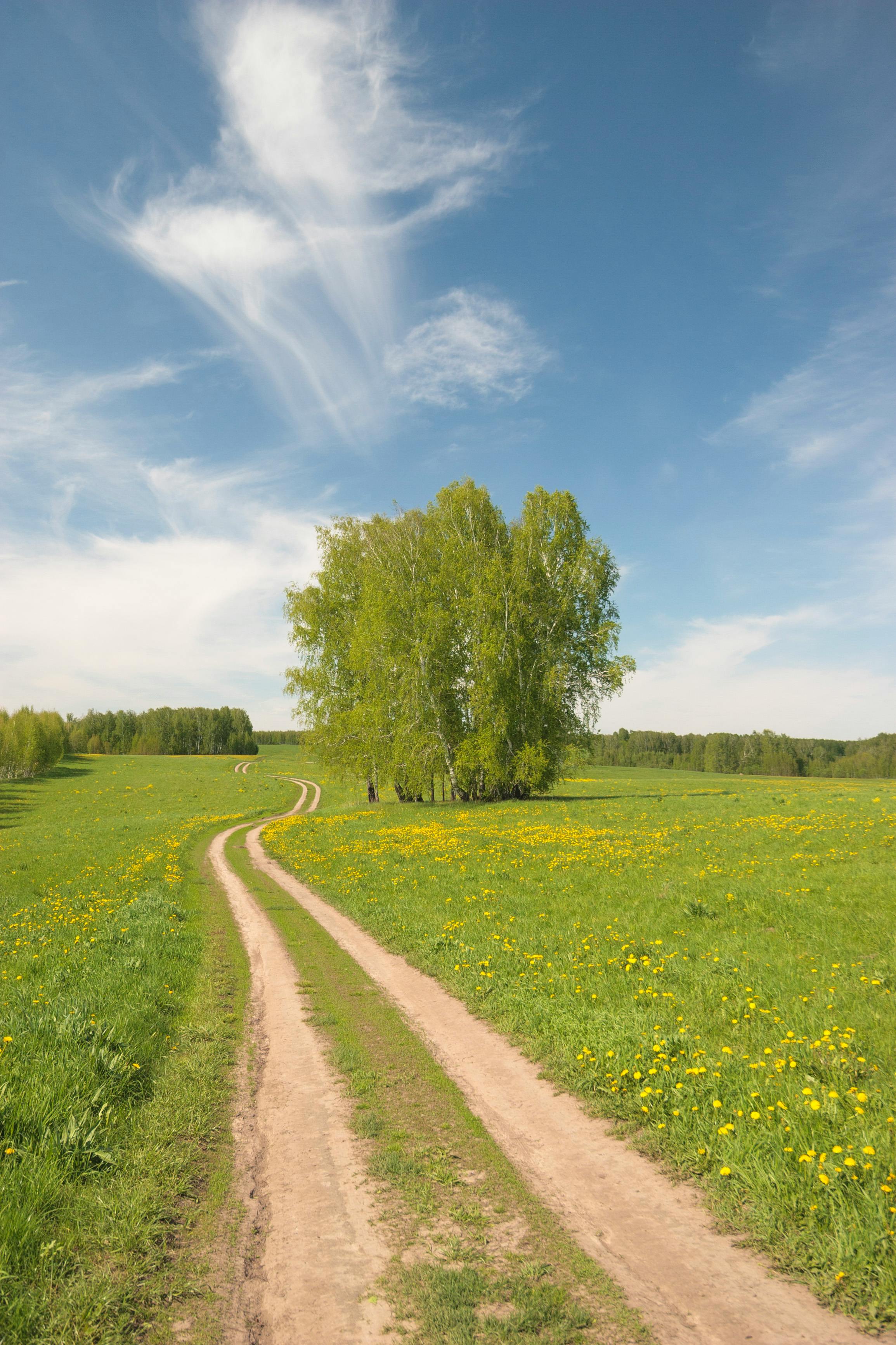 Simple Landscape Wallpaper Photos, Download The BEST Free Simple ...