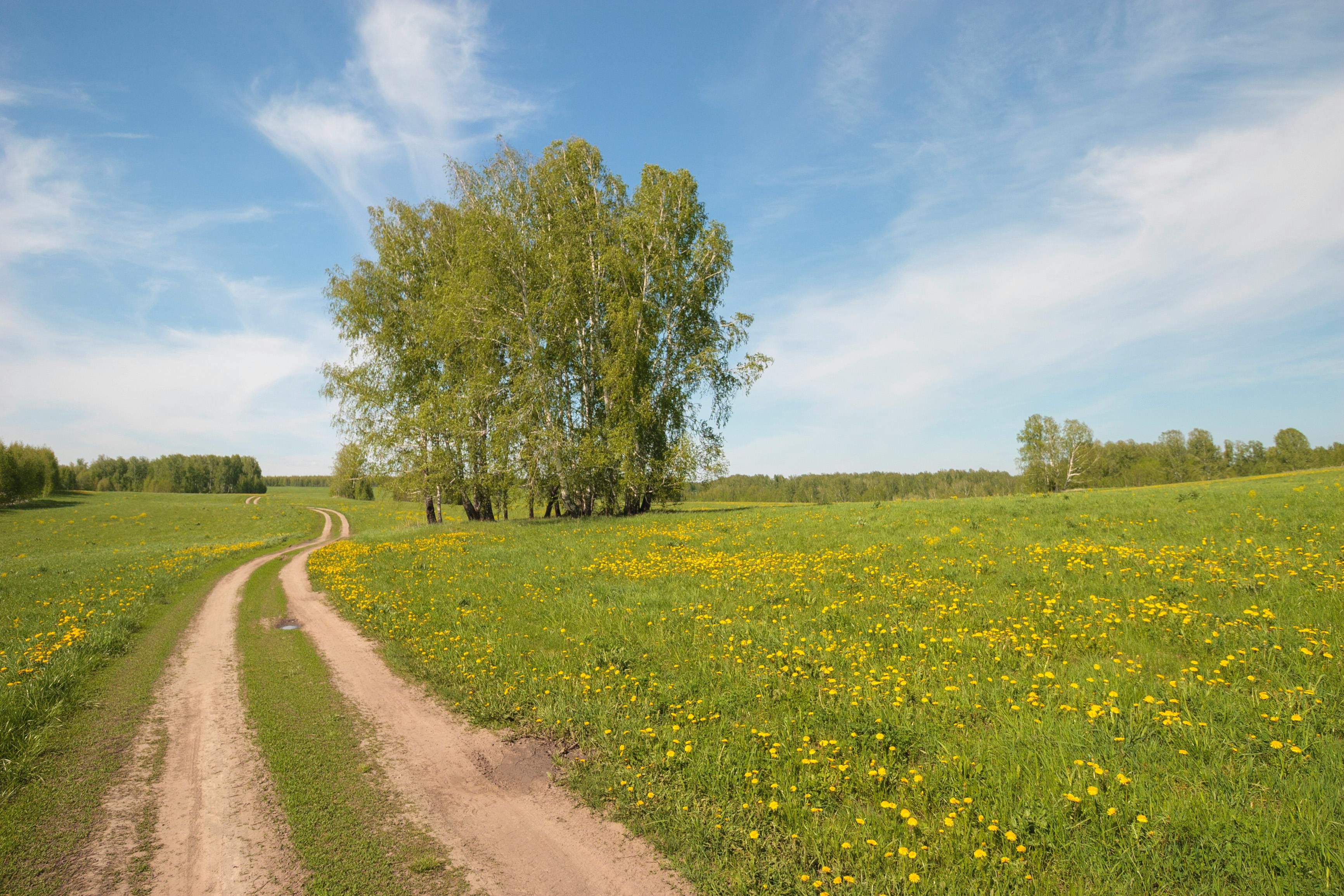 Cybersigilism Wallpaper Photos, Download The BEST Free Cybersigilism ...