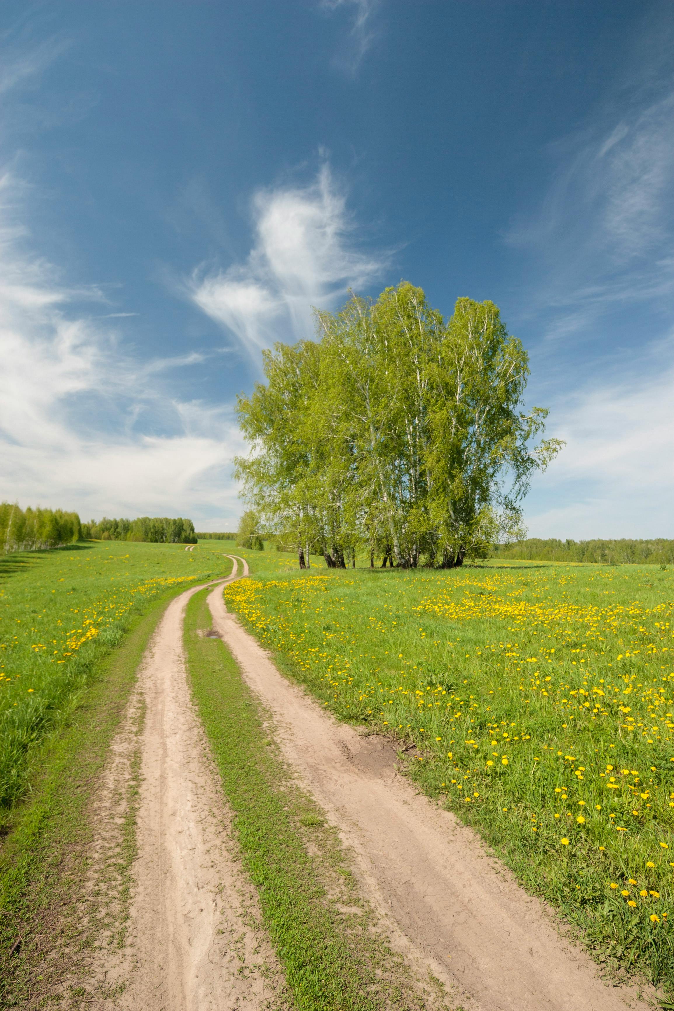 May 4k Wallpaper Photos, Download The BEST Free May 4k Wallpaper Stock ...