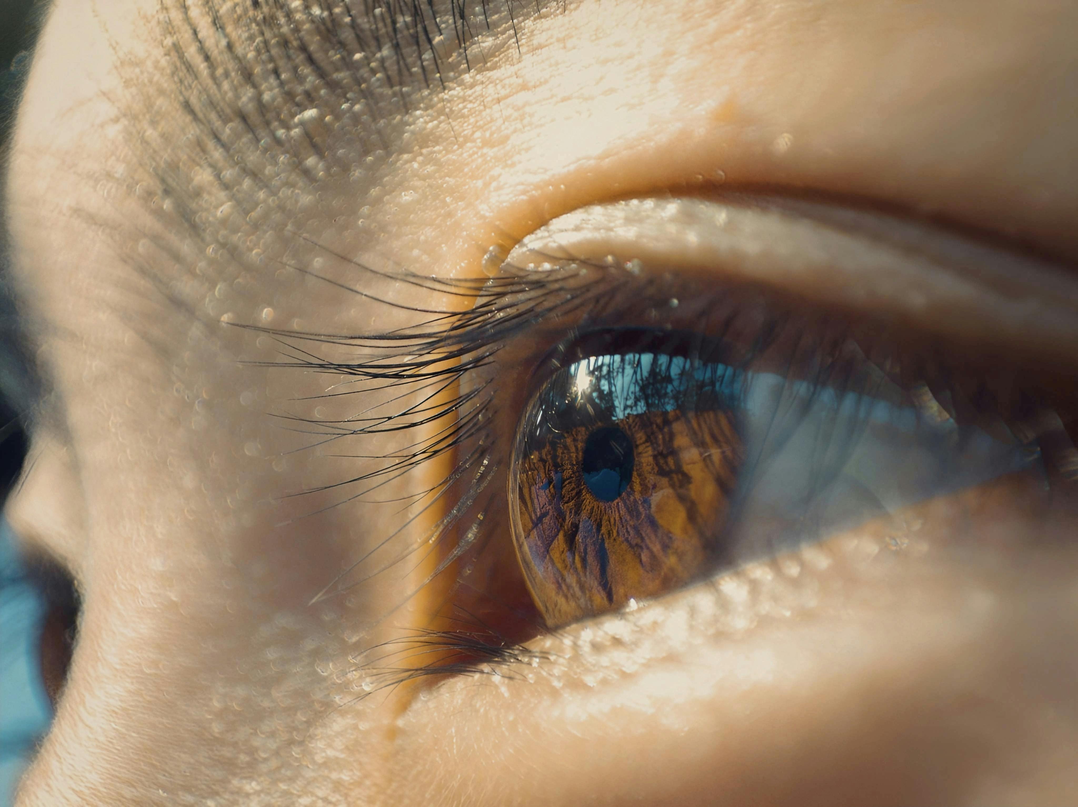 Close-up of a Human Eye Reflecting Nature · Free Stock Photo