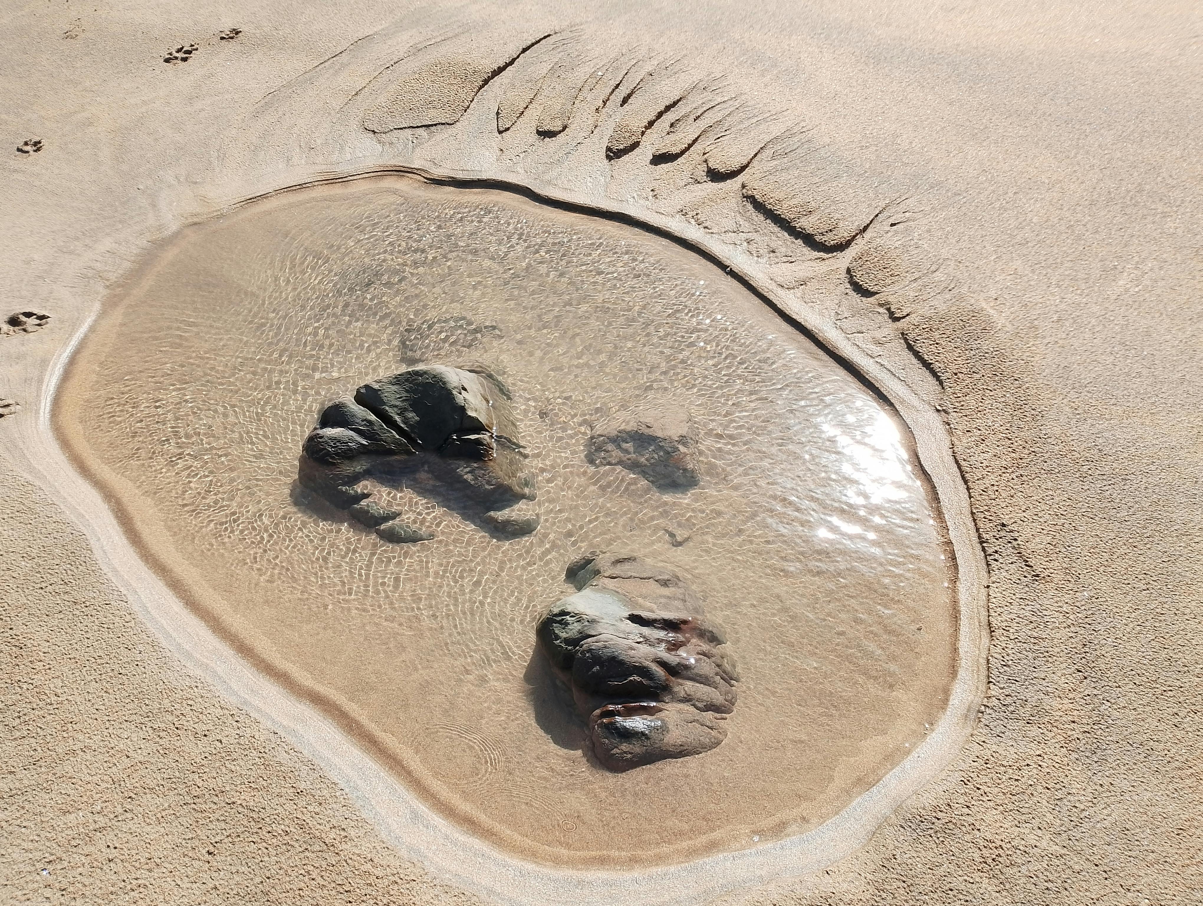 Puddle on Sandy Beach in Casablanca, Morocco · Free Stock Photo