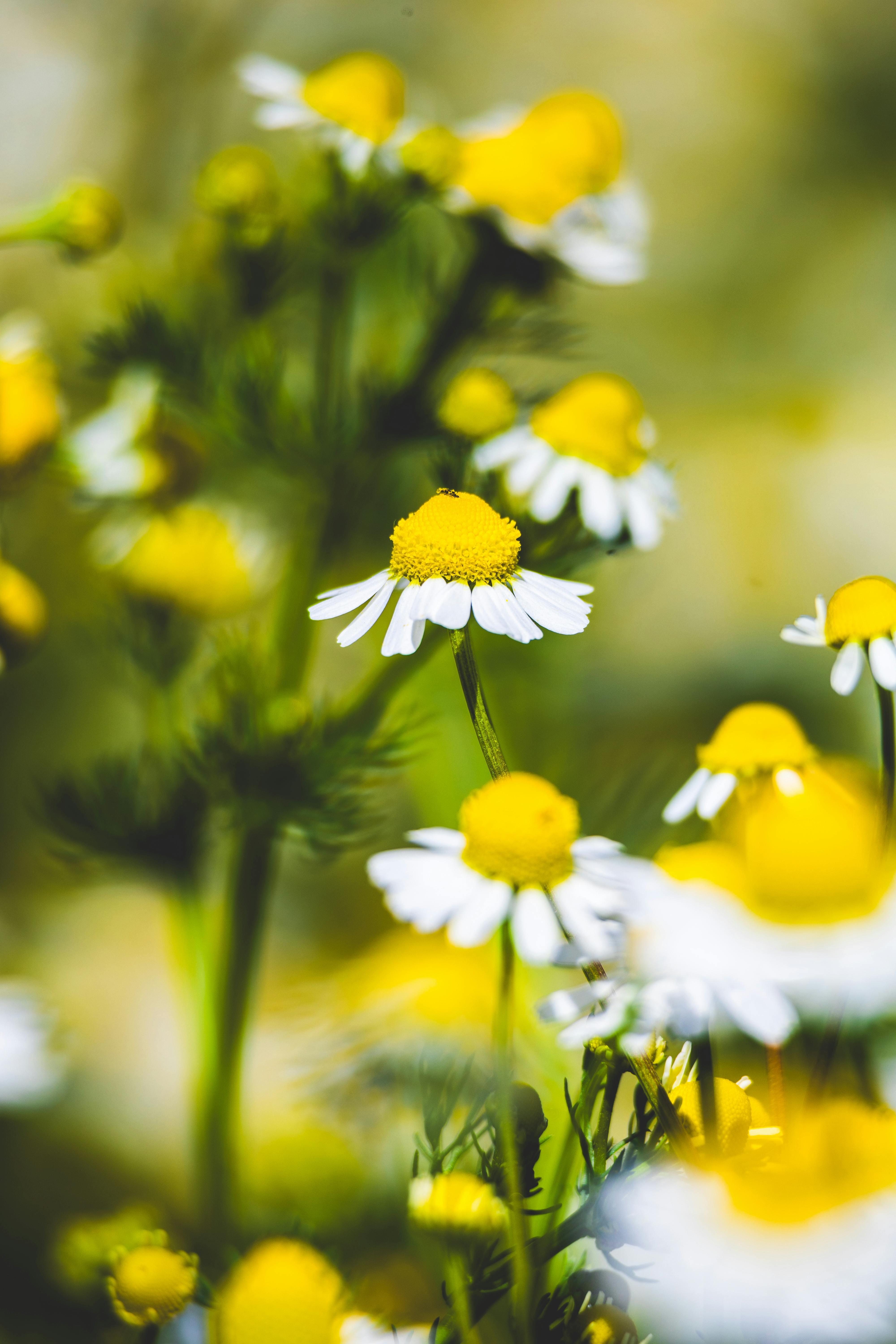 Viber Background Photos, Download The BEST Free Viber Background Stock ...