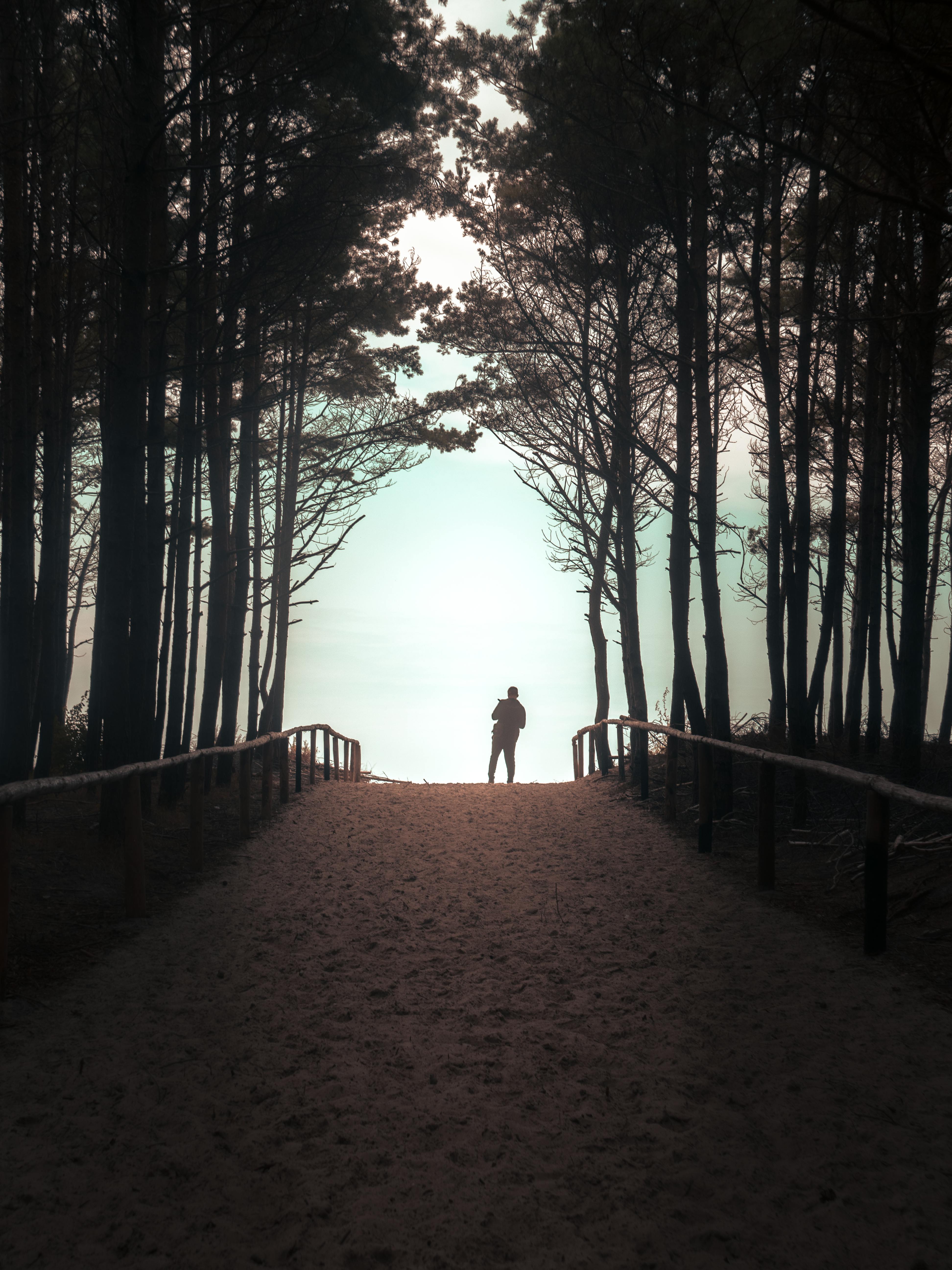 Désiré+Doué+4k Photos, Download The BEST Free Désiré+Doué+4k Stock ...