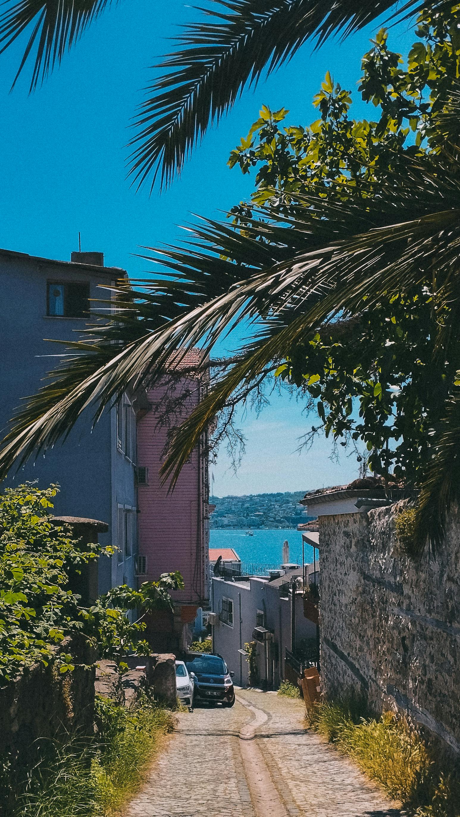 Scenic Narrow Alleyway Overlooking Ocean View · Free Stock Photo