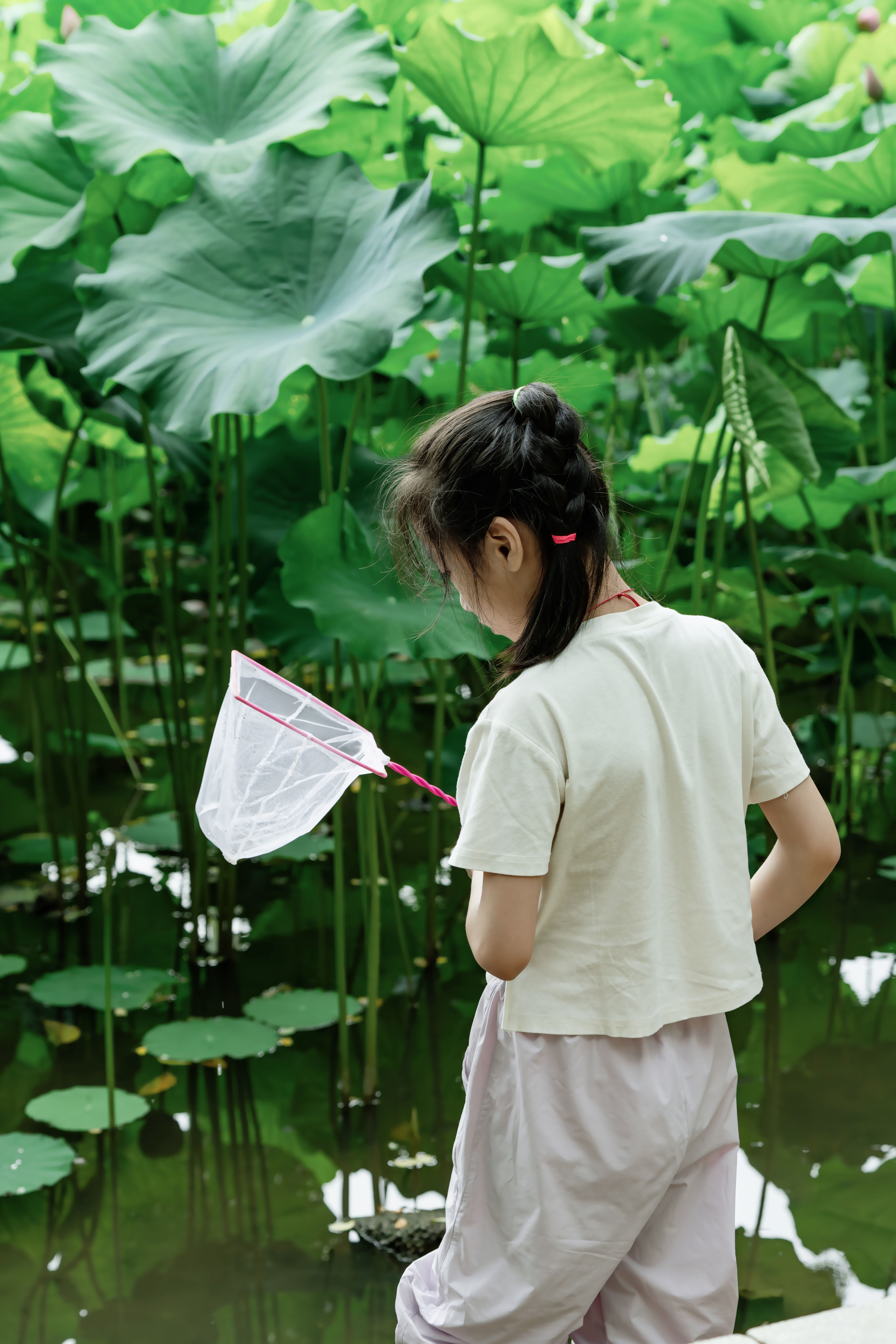 Child Exploring Lotus Pond with Net · Free Stock Photo