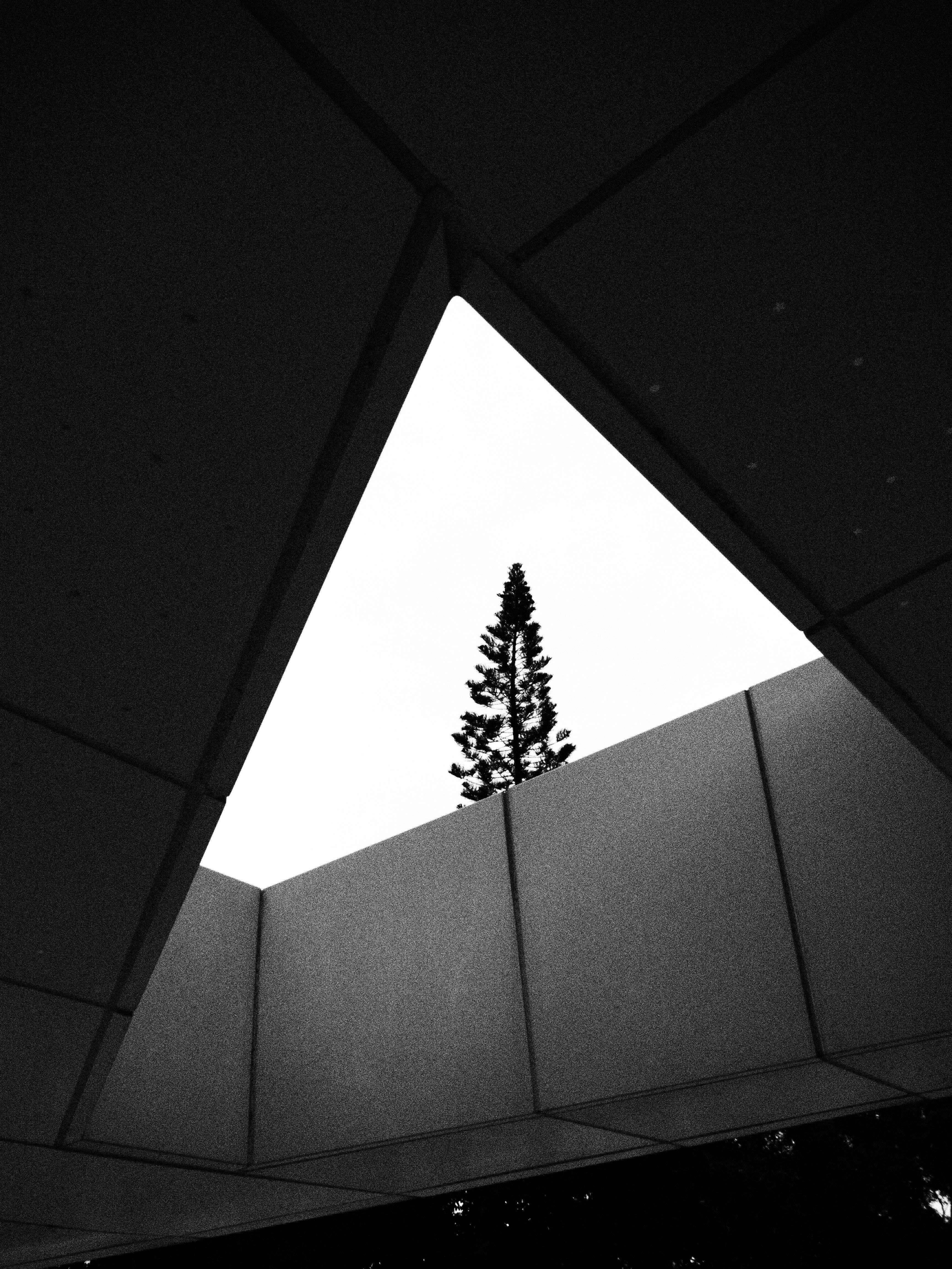 Triangular Frame Photos, Download The BEST Free Triangular Frame Stock ...