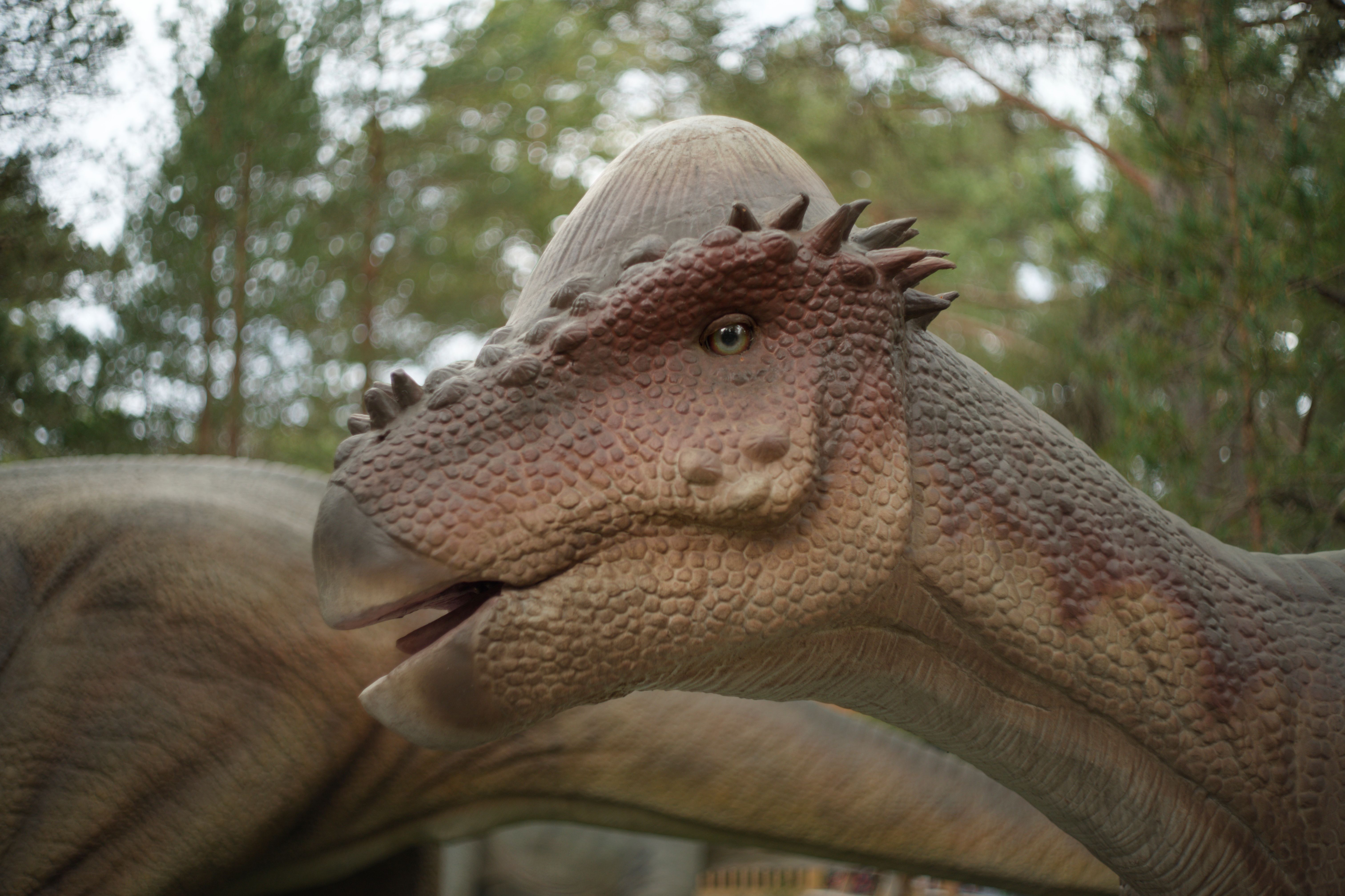 Realistic Dinosaur Model in Forest Setting · Free Stock Photo